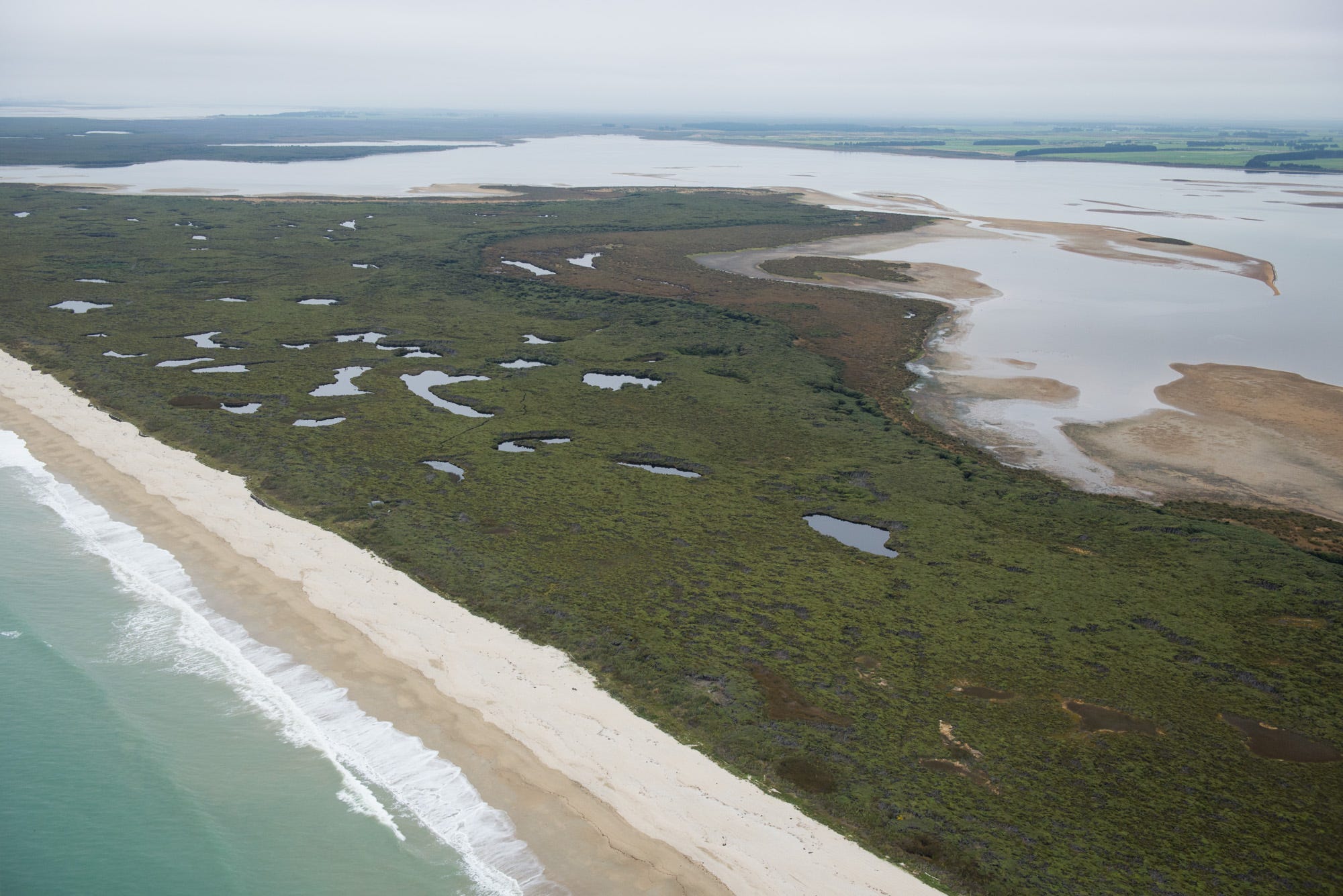 The race to save the treasured Waituna Lagoon