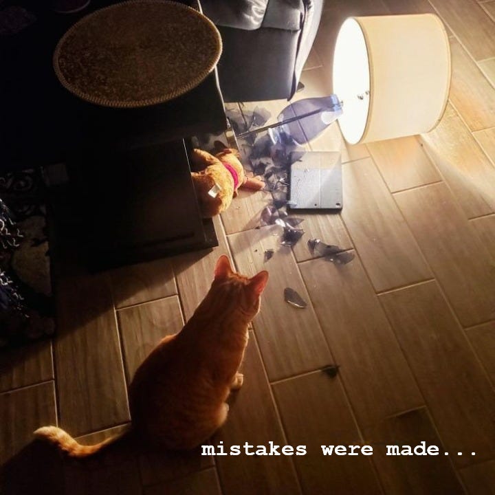 mistakes were made, by el gato malo | STRAIGHT LINE LOGIC