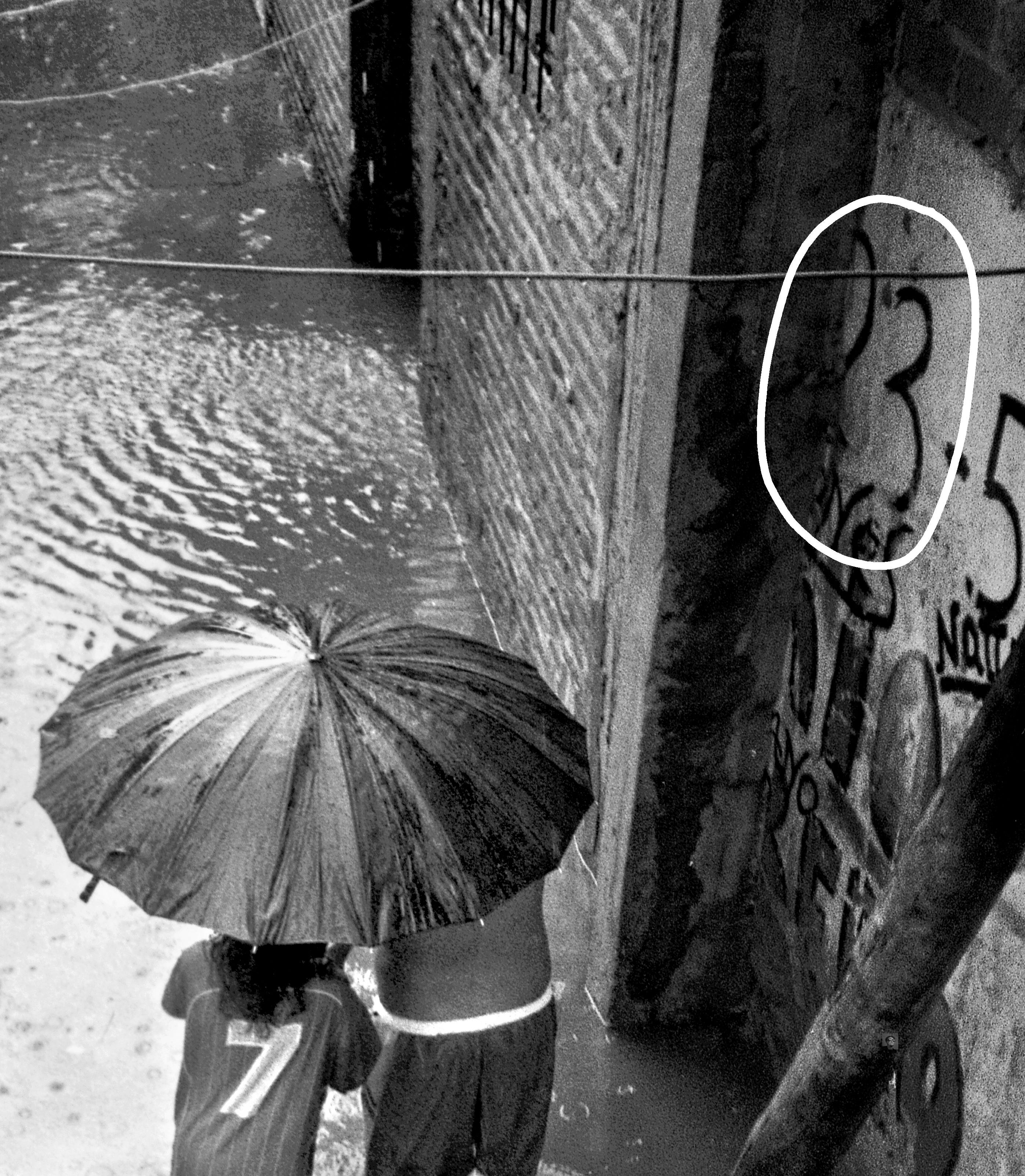 "Los amigos" #2 - by Nahuel Alfonso - Pasos en las huellas