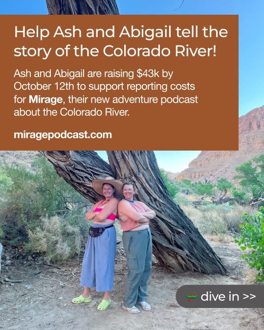 Announcing a New Project! - by Ash Sanders - Head Snakes