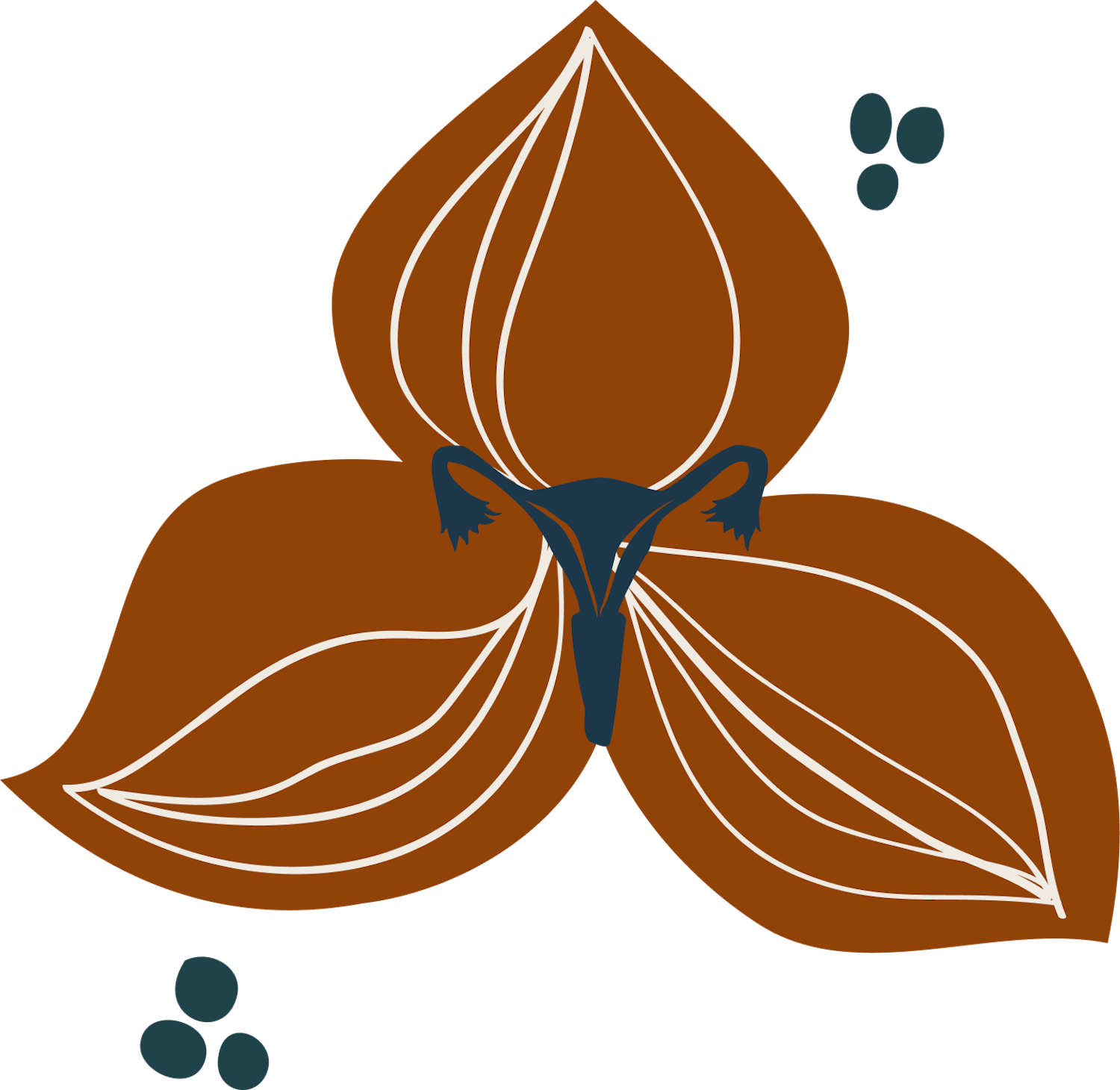 welcome ! - by Layla O'Mara - beauty & bone