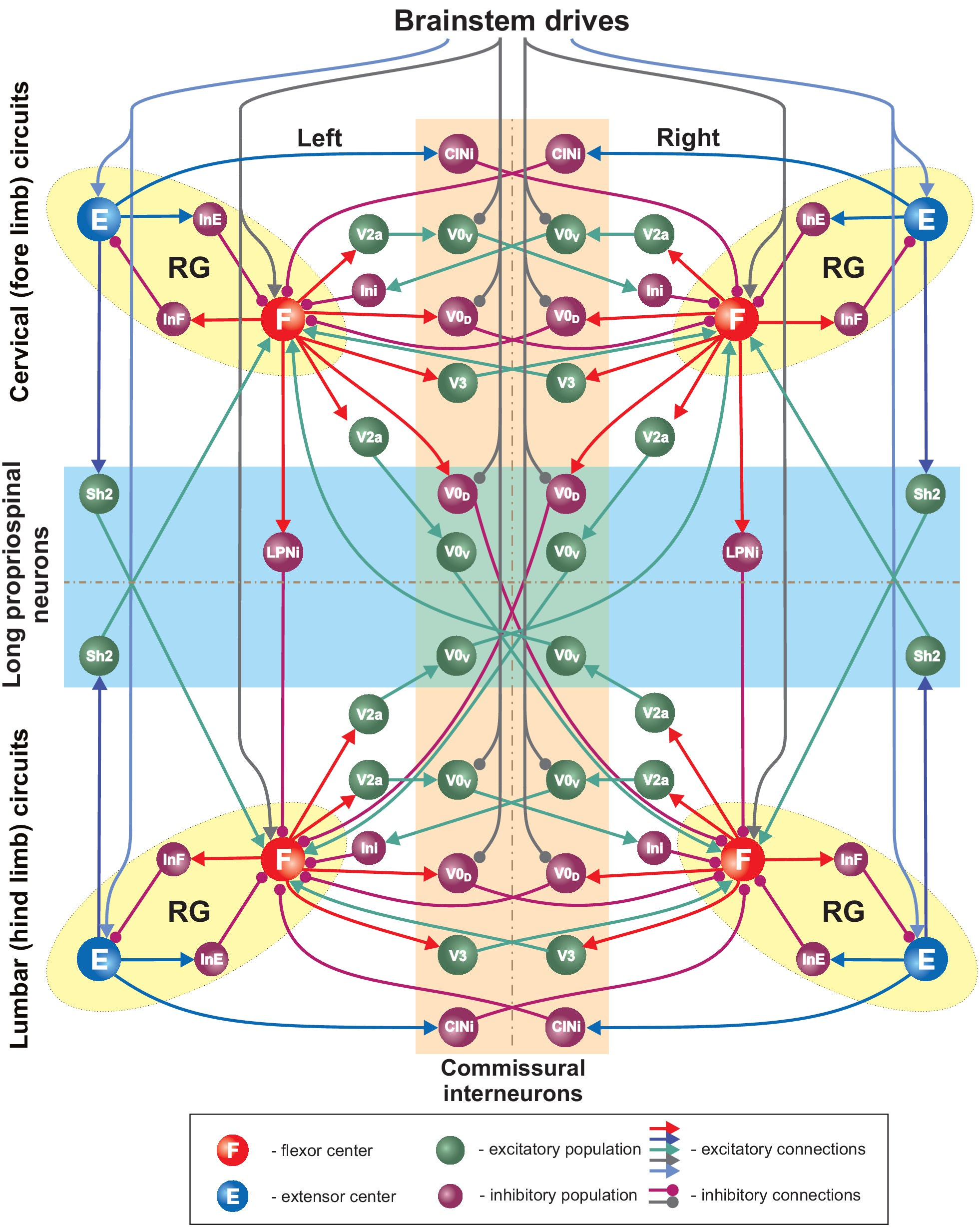 Lizards and continuous space - by Nikolay