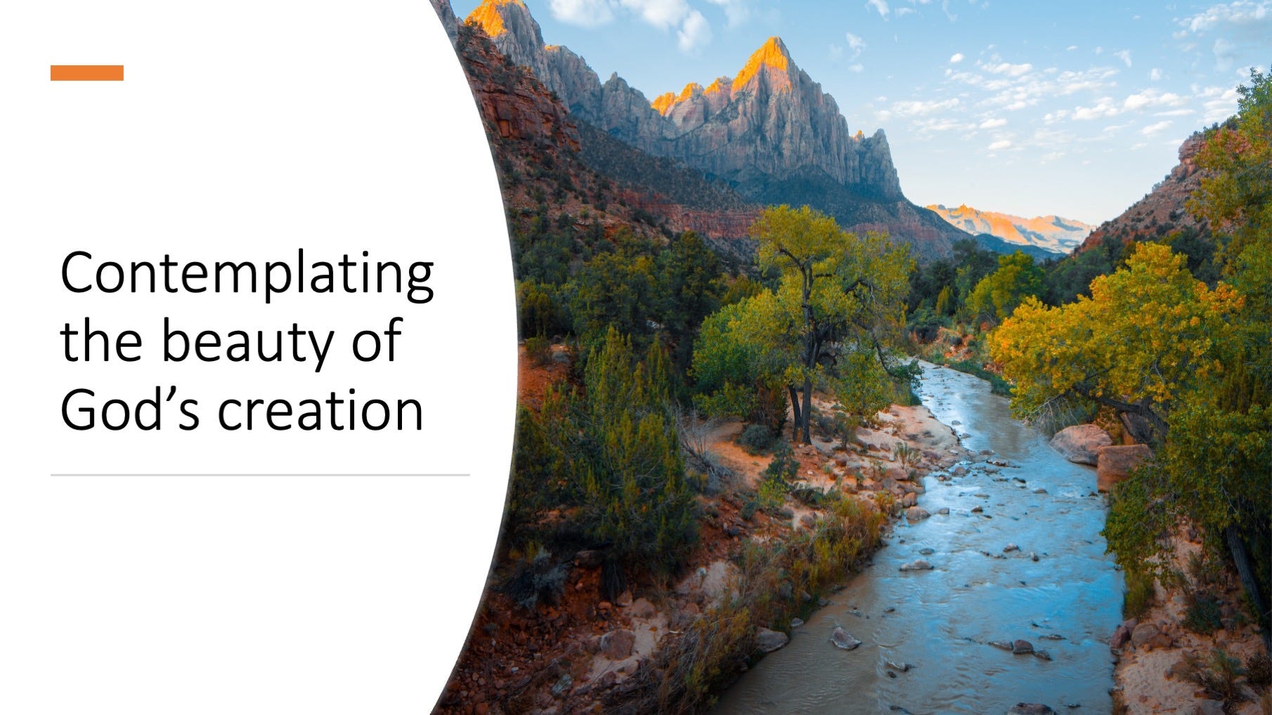 Contemplating the beauty of God’s creation