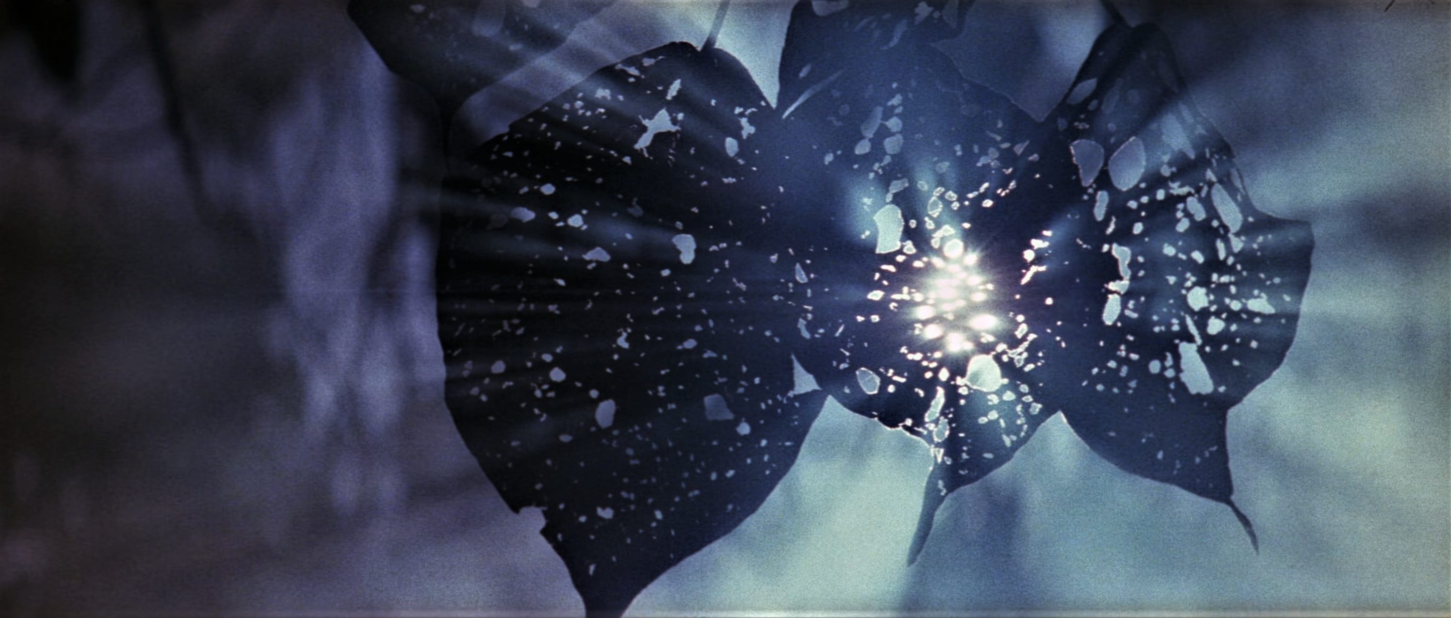 Fragments of Light: Introduction