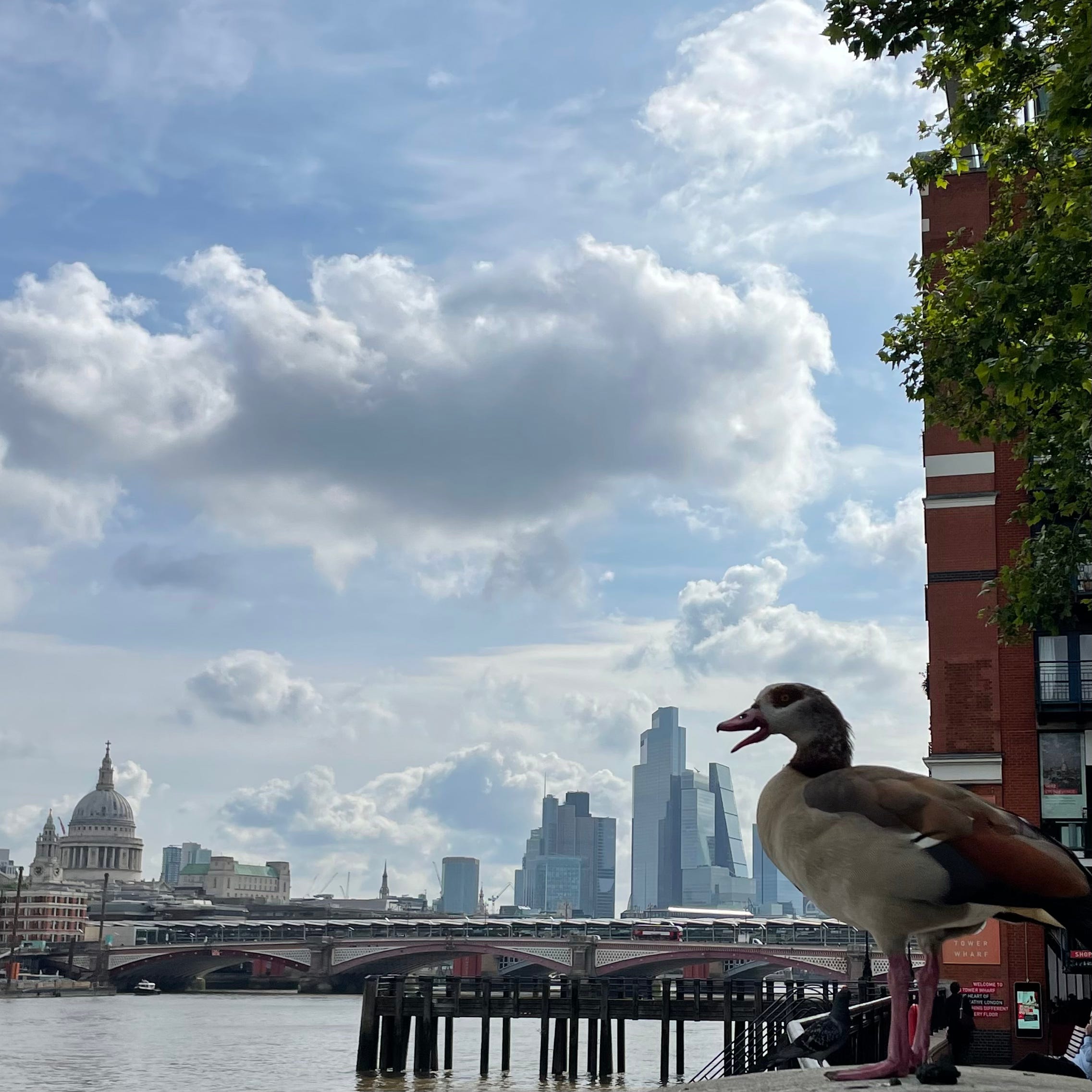 The London Minute: Friday 21 February 2025