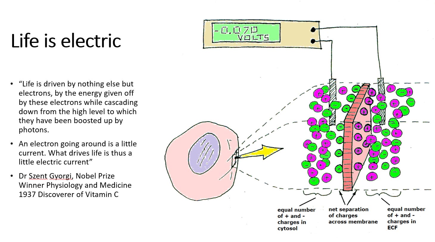 Finding New Treatment Solutions: Our Bio Photonic and Bio Electric ...