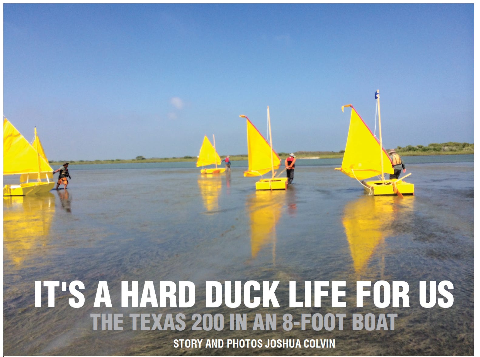 IT'S A HARD DUCK LIFE FOR US - by Joshua Colvin