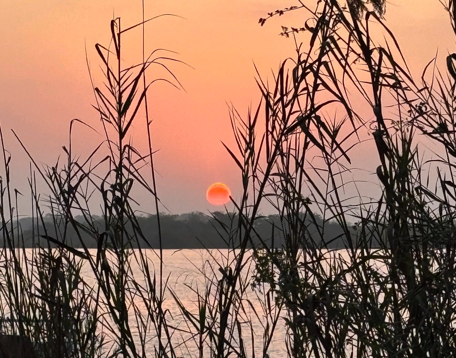 The Best Reason to Get Up at Dawn - by Janice Kaplan