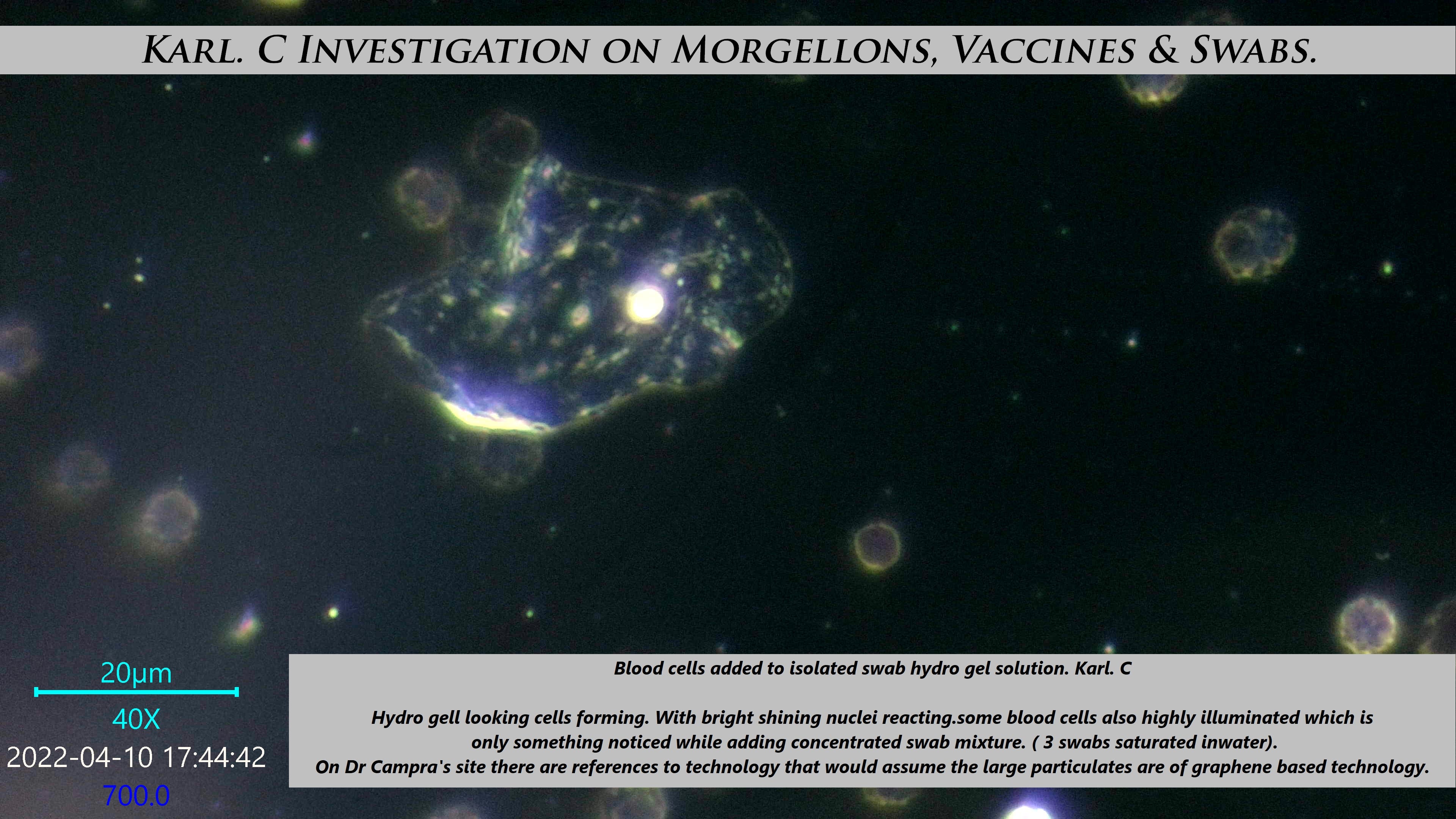 Test Hydrogel swab analysis part 2 - Karl.C’s Substack