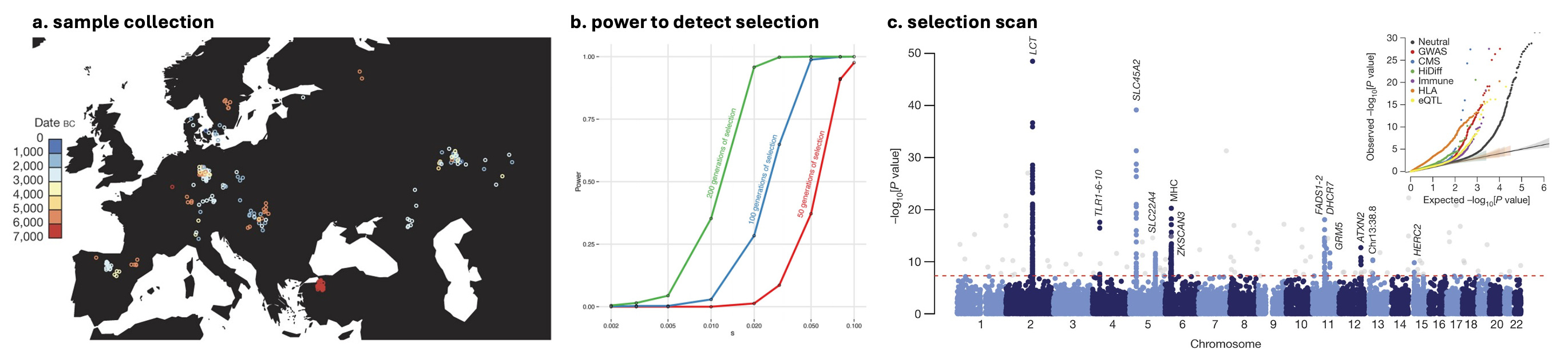 Where are the recent selective sweeps? - by Sasha Gusev