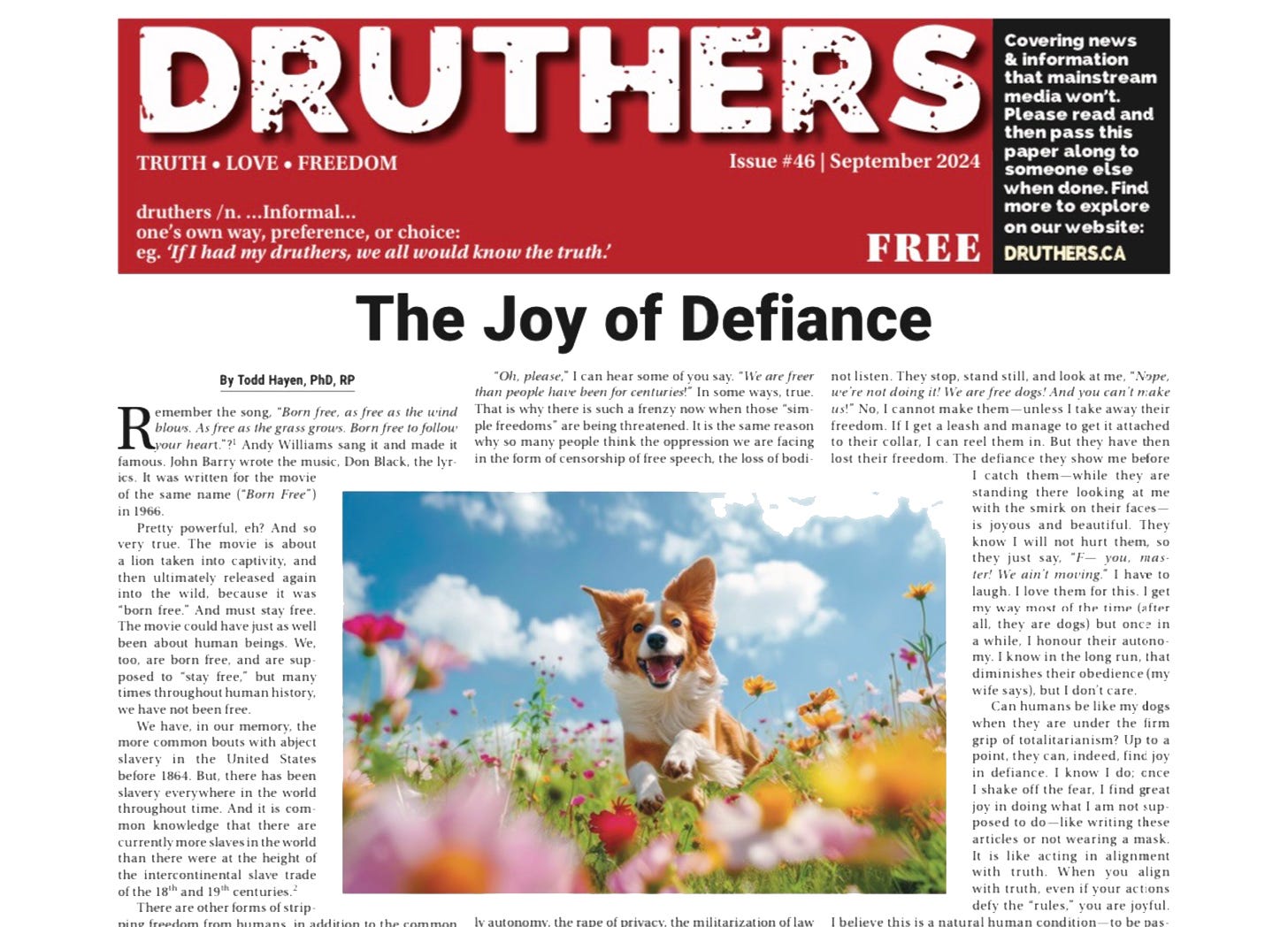 Druthers Front Page! - by Todd Hayen, PhD, RP - Shrew Views