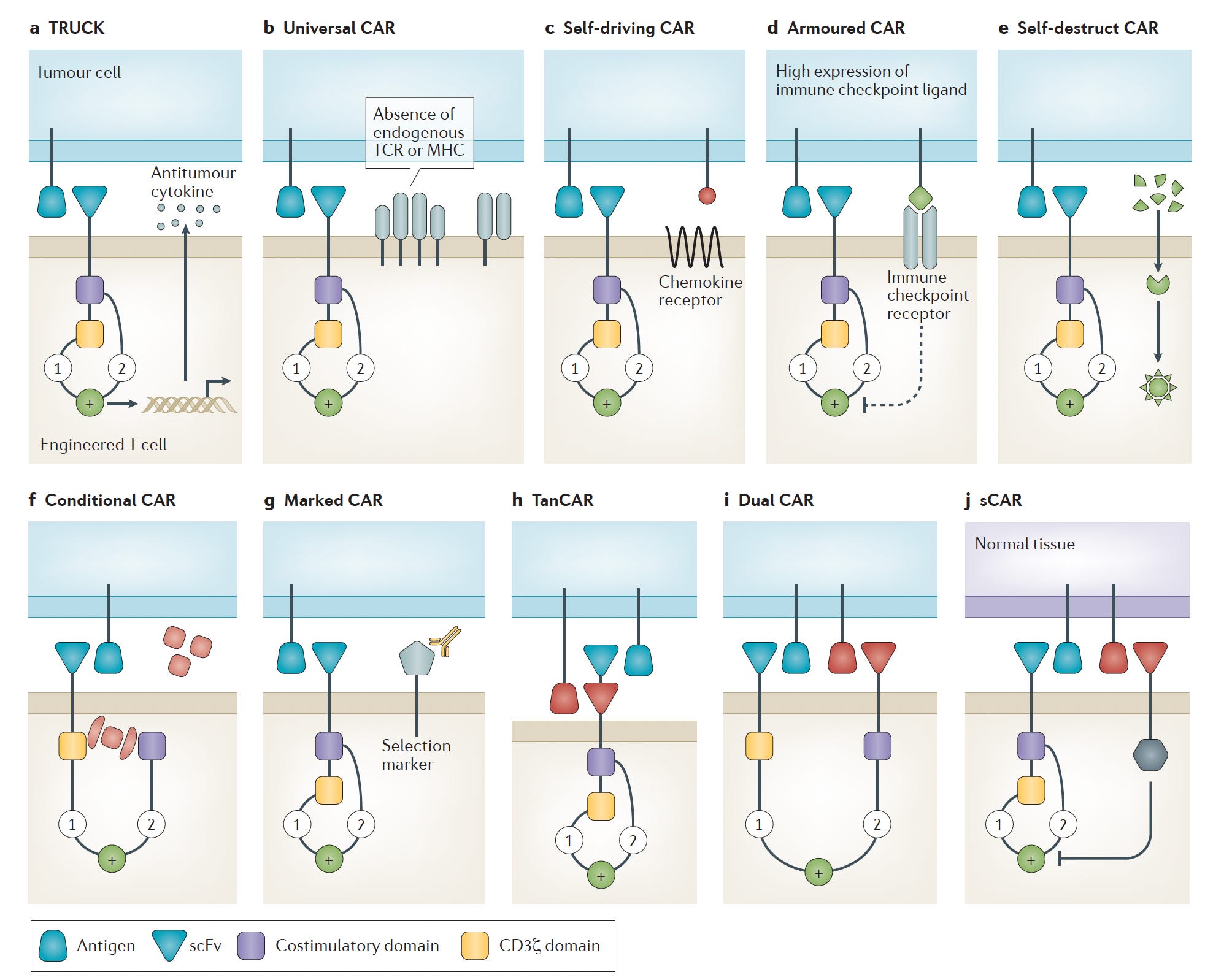 Engineering T cells - by Eric Topol - Ground Truths