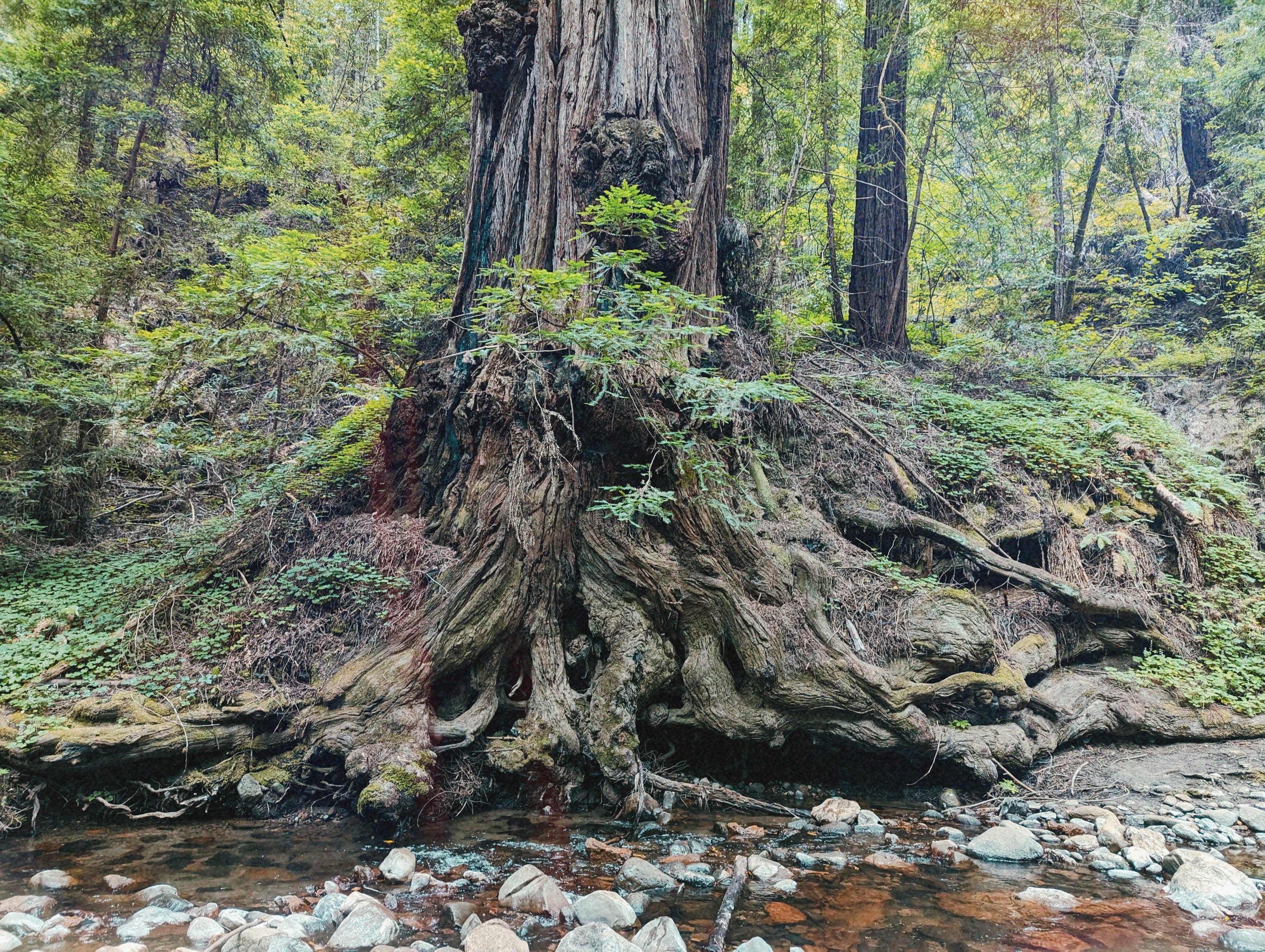 welcome to // understories // - by Hannah Levy