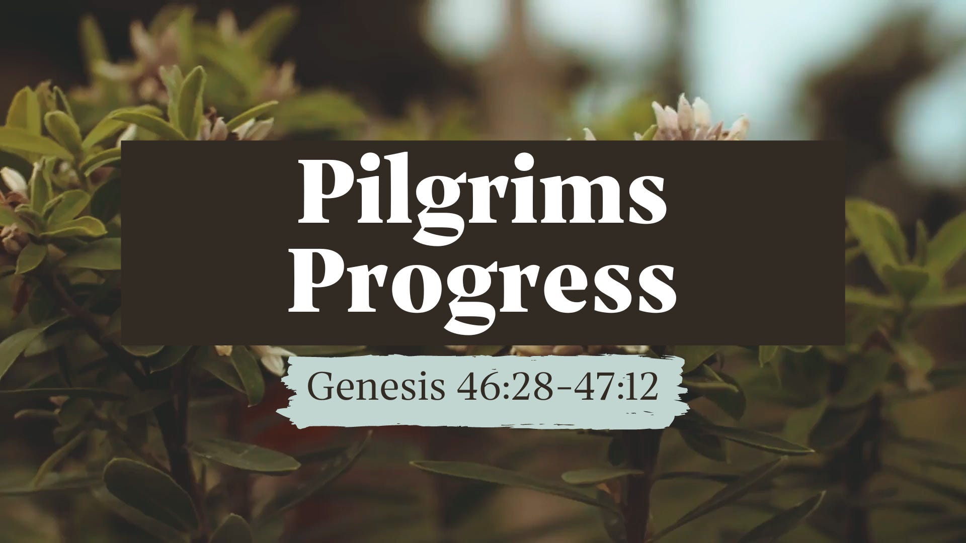 Pilgrims Progress - Calvary Hanford