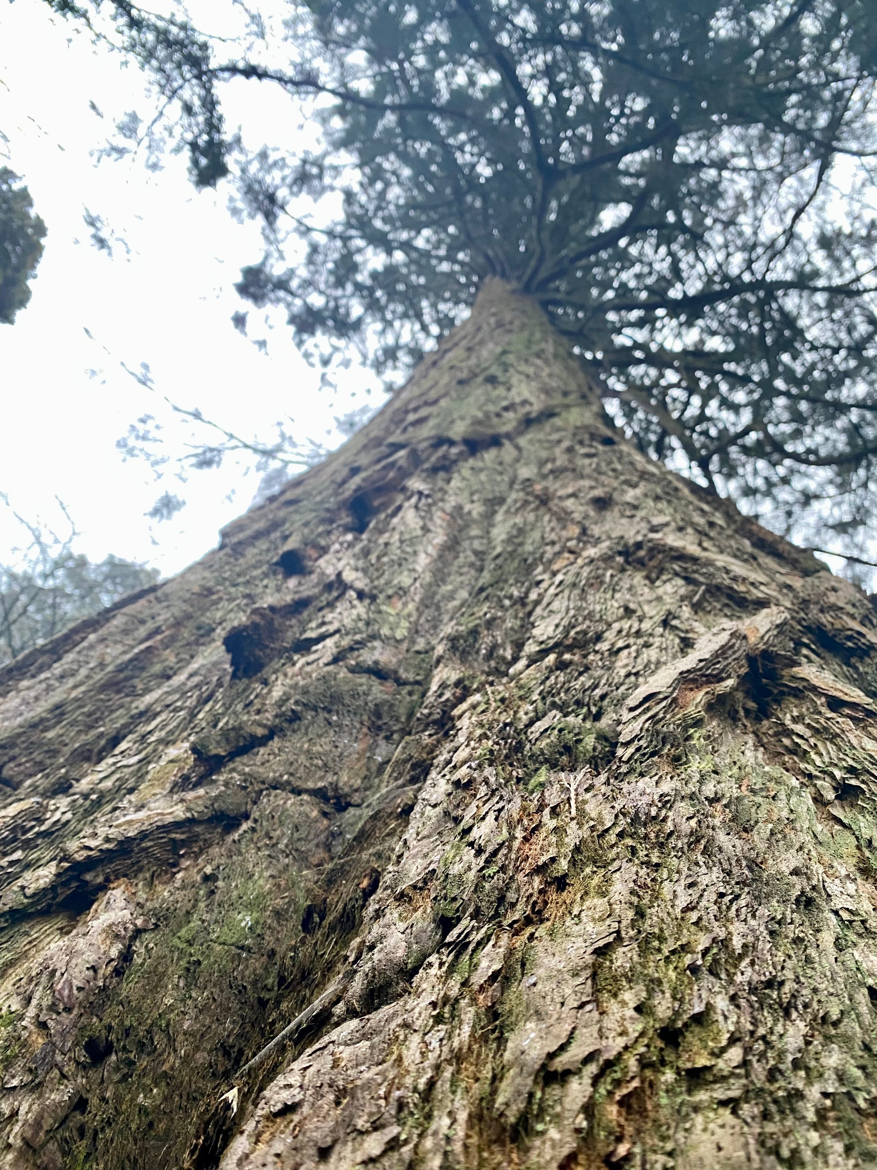 a shift in perspective - by Nina Tree - Nina’s Substack