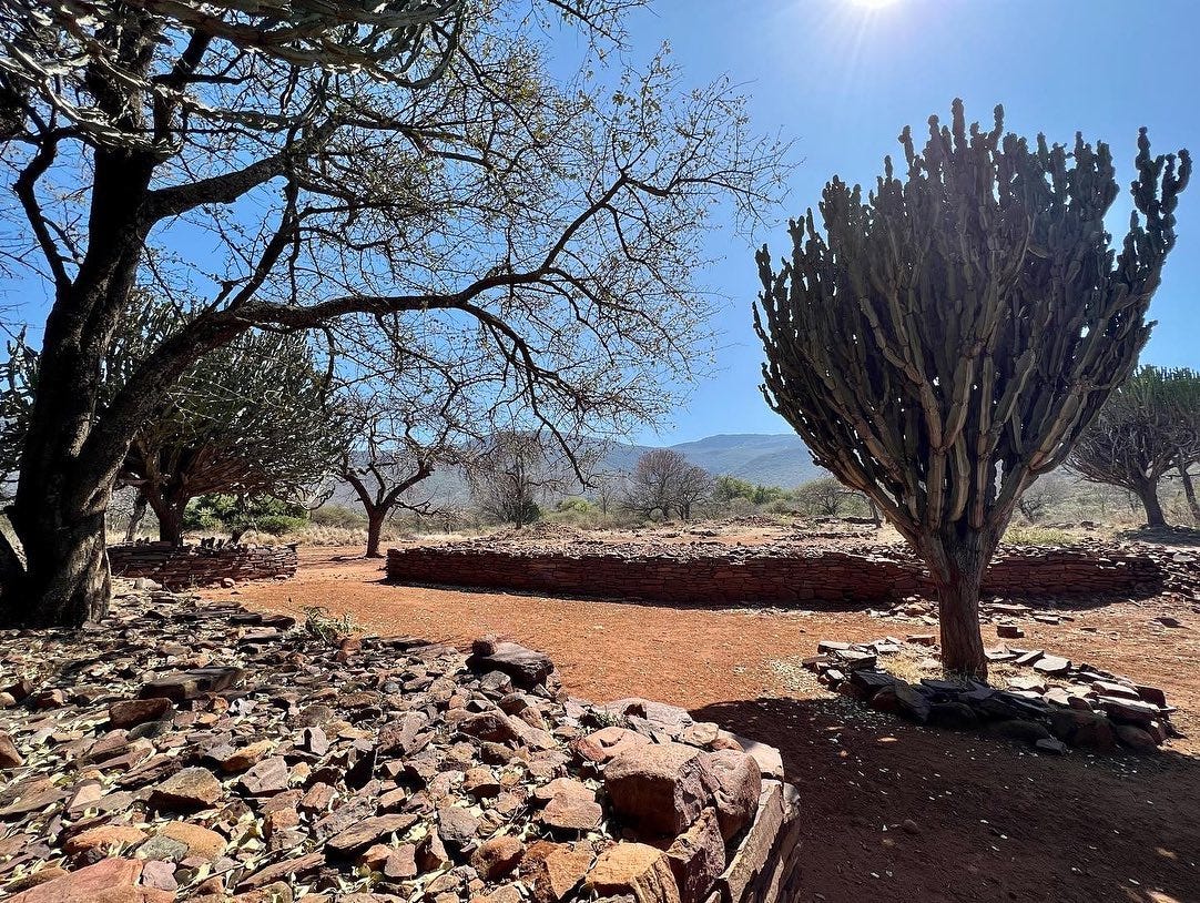 The stone ruins of South Africa: a history of Mapungubwe, Thulamela and ...