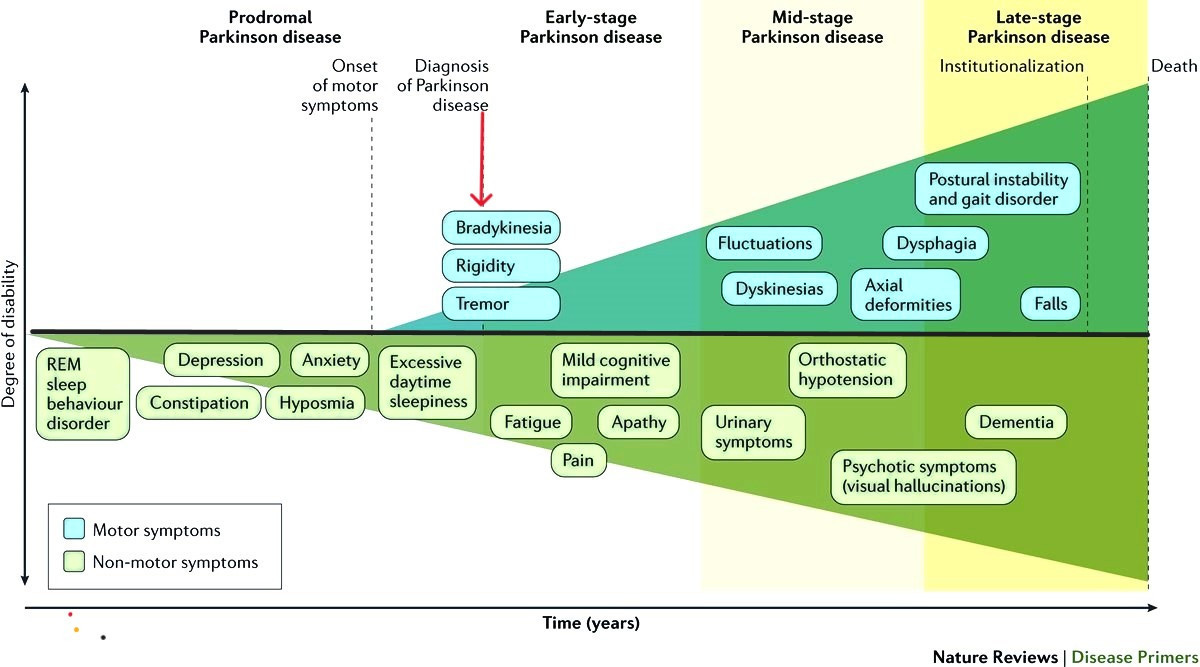 Nothing is as it seems in Parkinson’s – An Insider's Guide to Parkinson ...