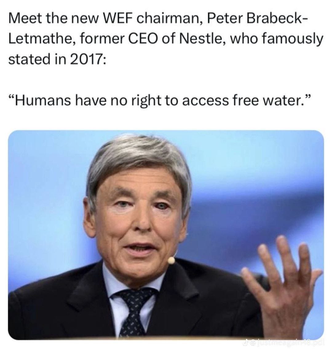 A Declaration of Total Control?: Humans Do Not Have the Right to Water