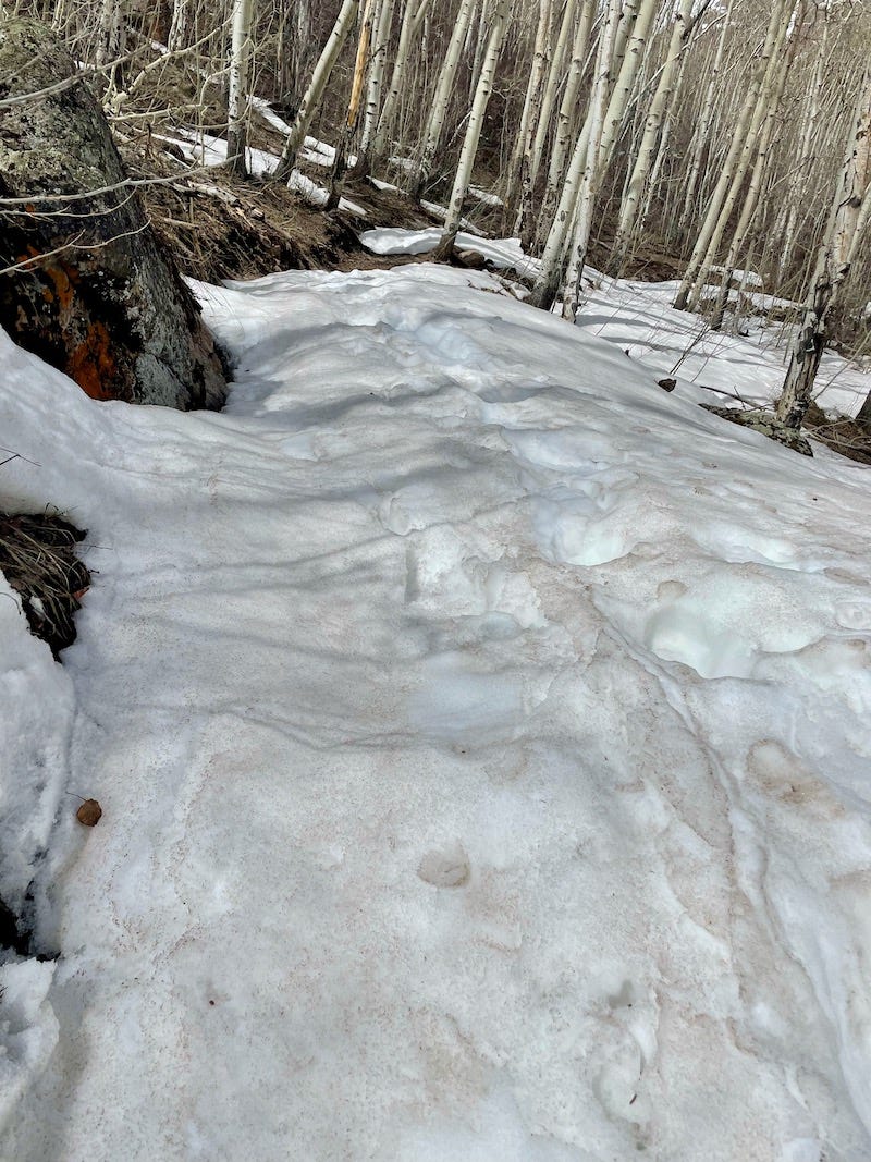 Stomping Rotten Snow & Other Spring Stories