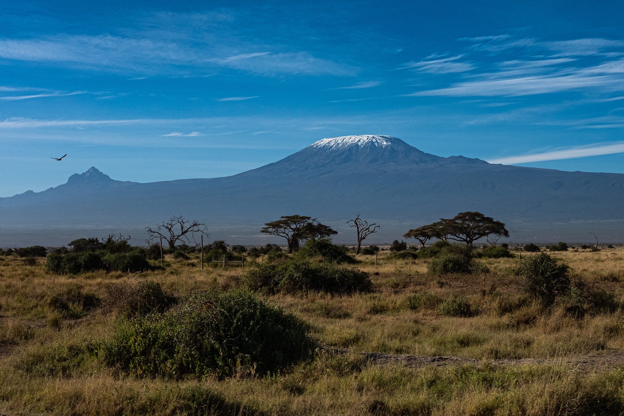 The Snows of Kilimanjaro by Ernest Hemingway