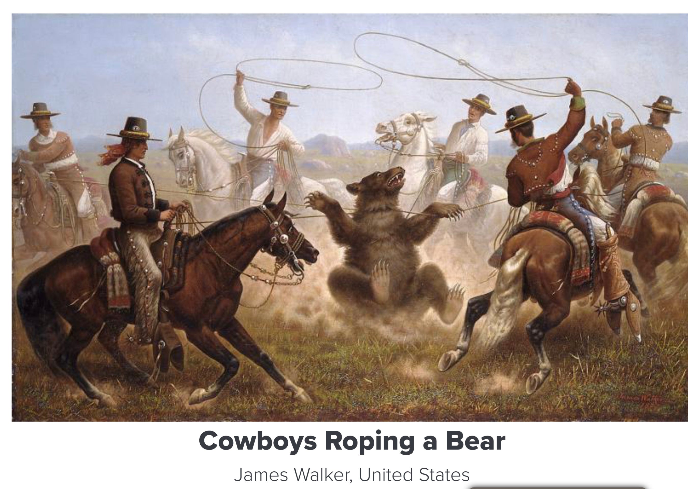 Poking the Bear - by Robert Taylor - Robert’s Substack