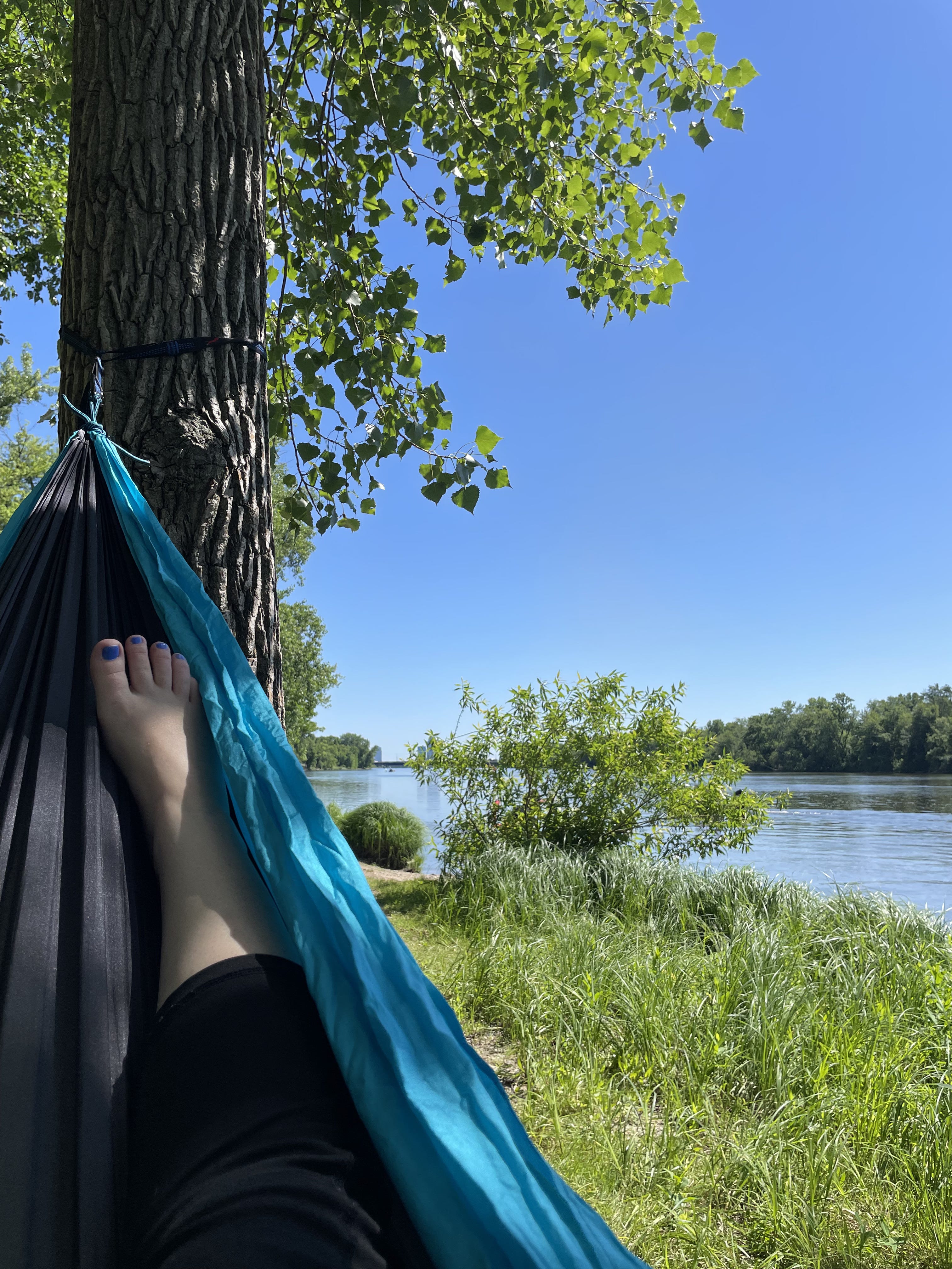 Rachel Dupont By Lynnette Therese Sauer Circling