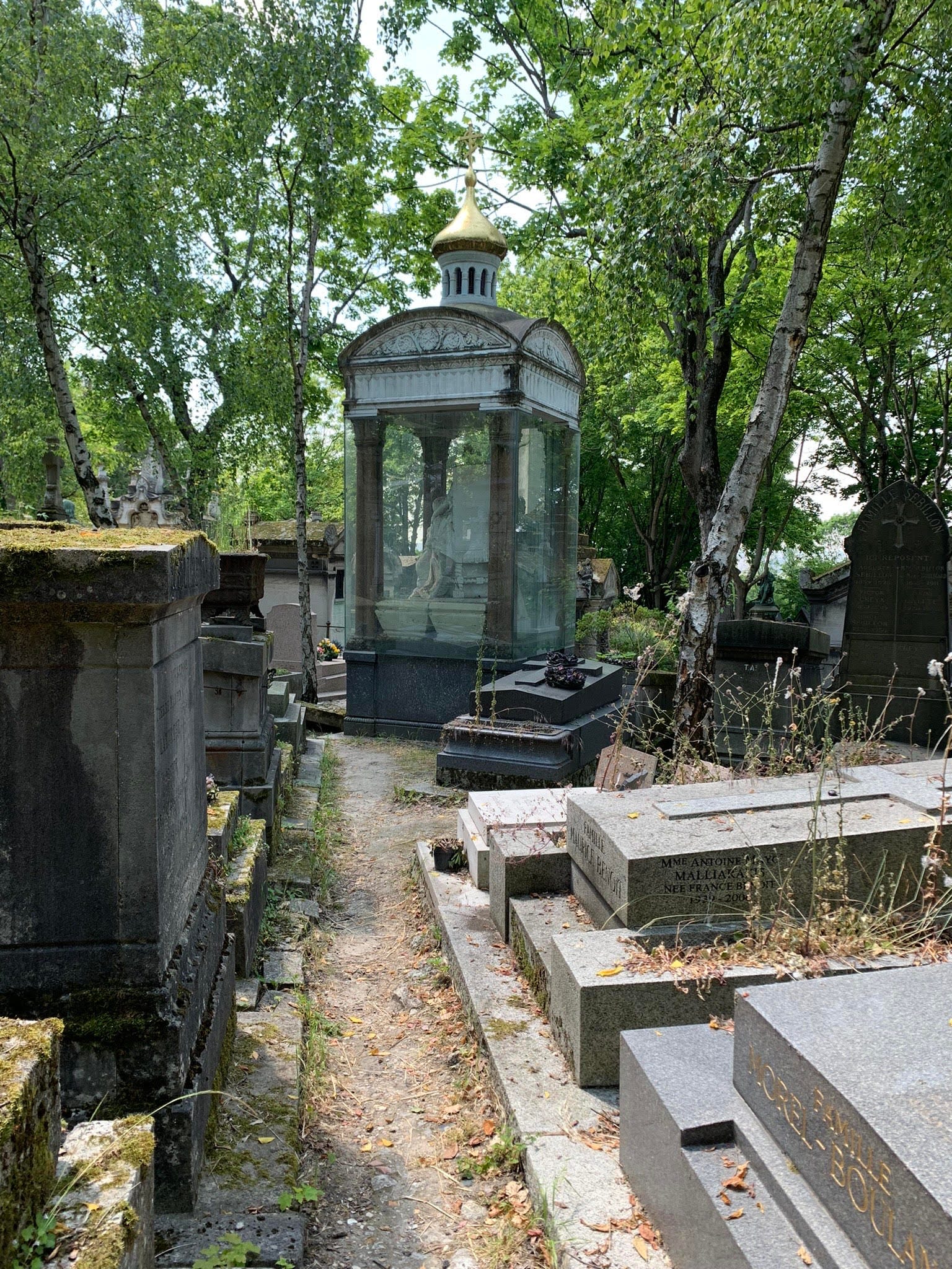 It's a Wilde World - John Leman Riley