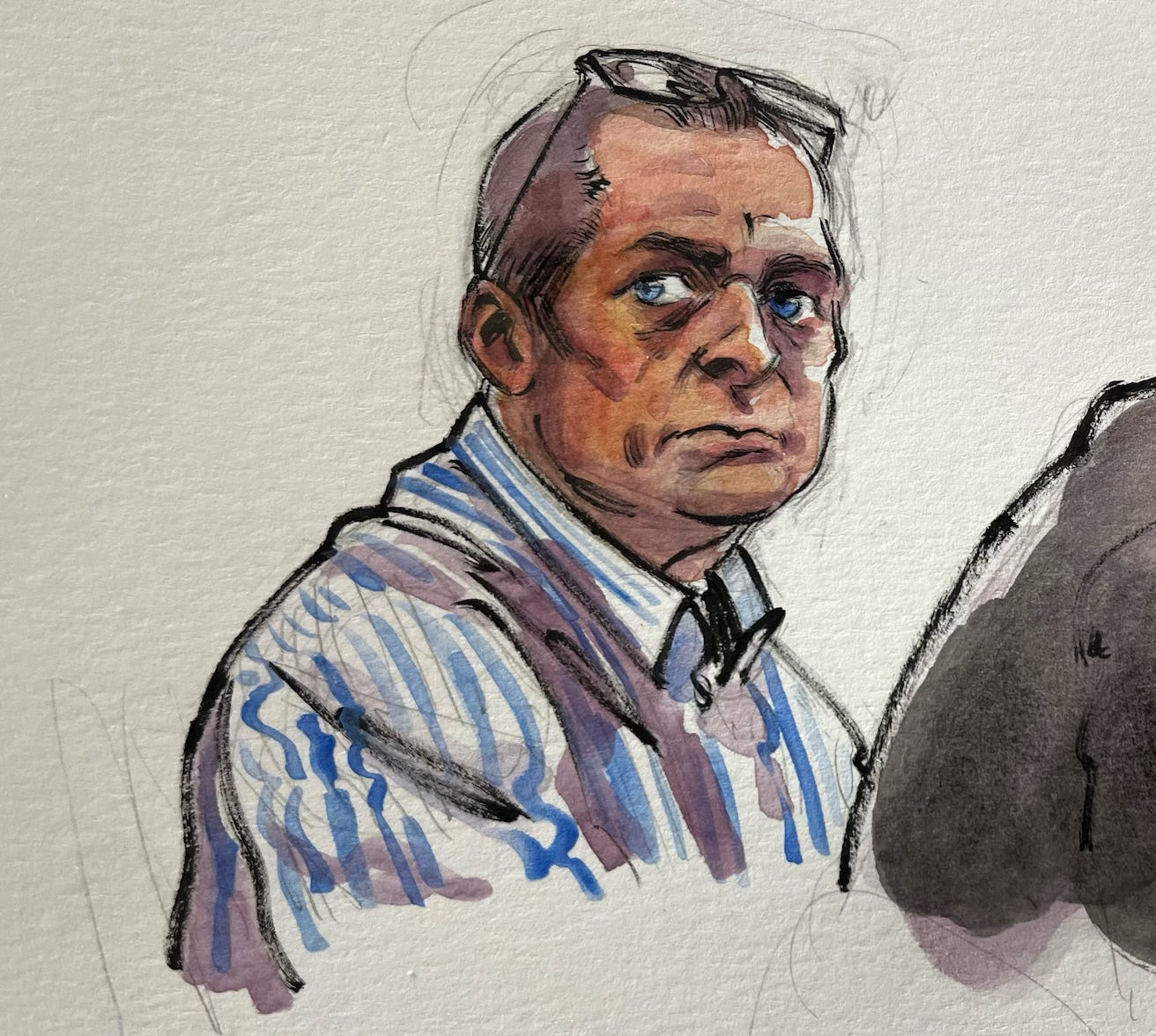 Delphi murders trial: Day 15 - by Dave Bangert