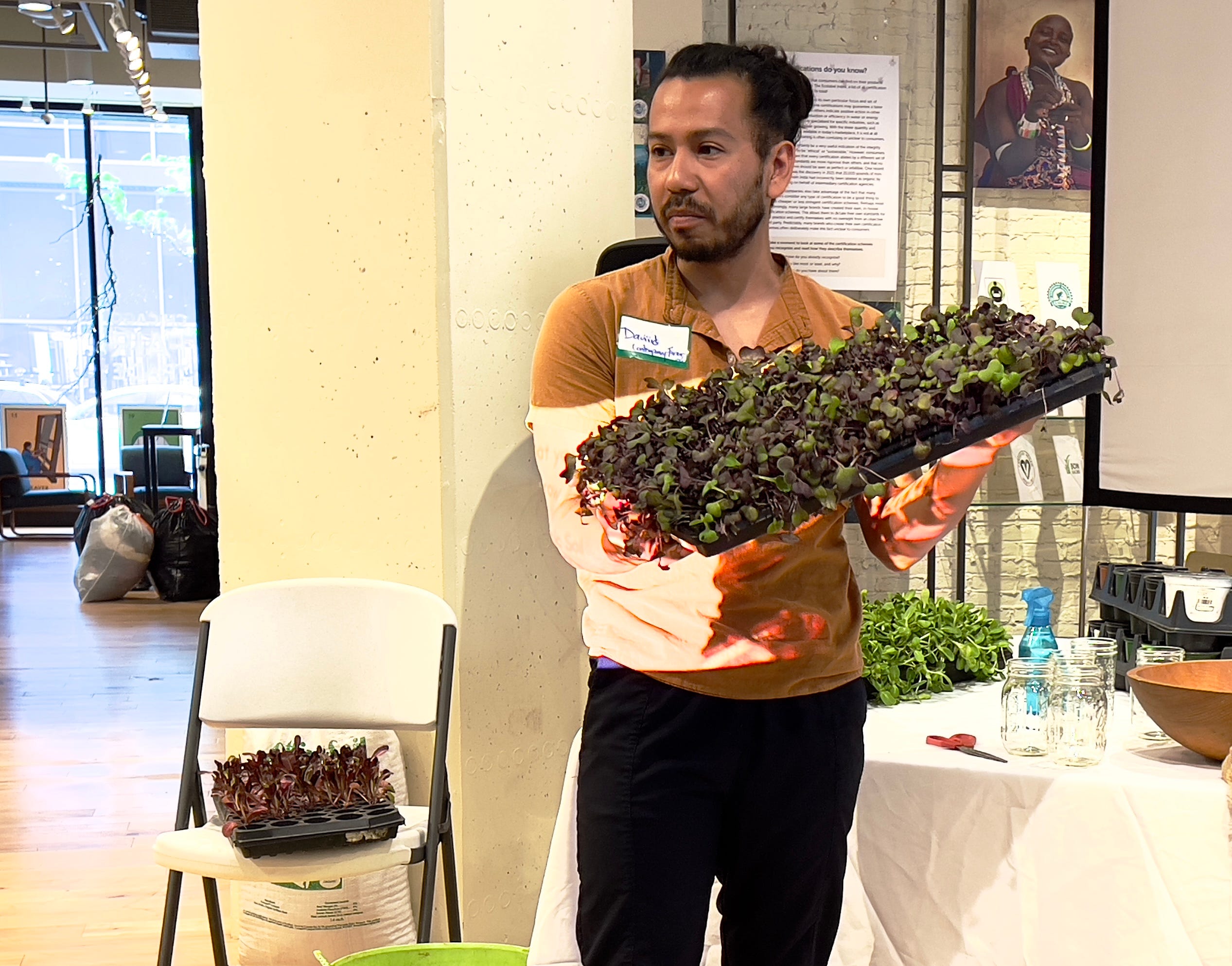 Fair Trade and the Ease of Growing Greens - by Bob Benenson