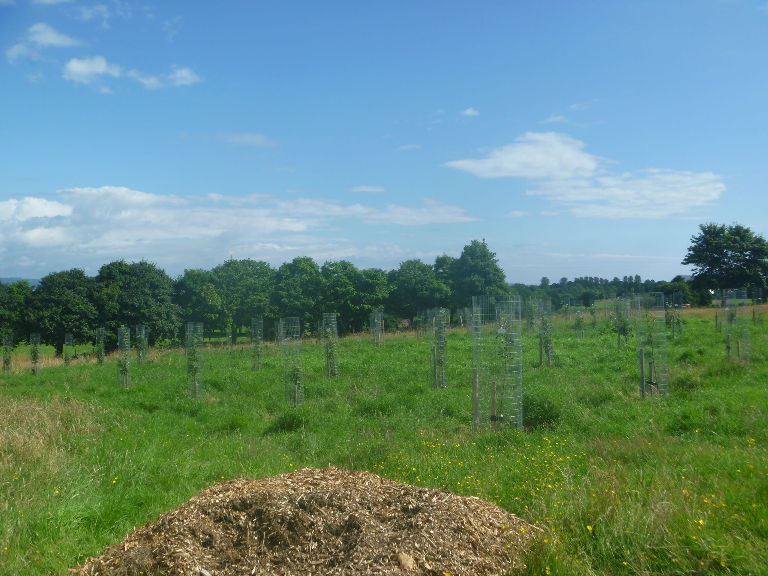 Edinburgh's Agro-ecology Project - by Juliet Wilson