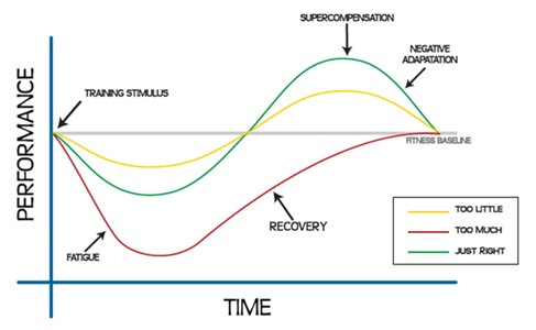 Progressive Overload 101 - by Alexander Cortes