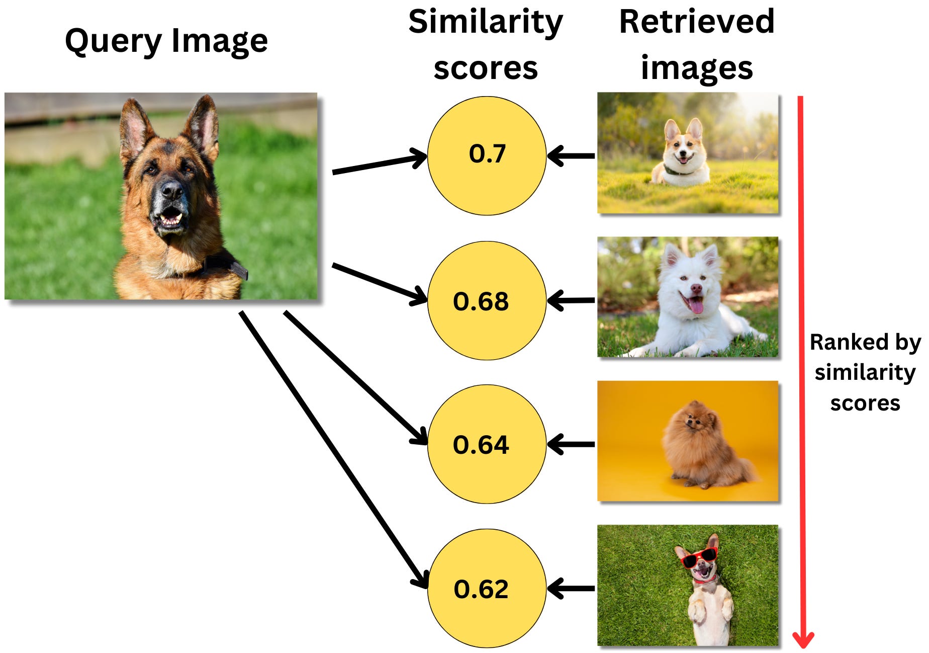 How to Build an Image Retrieval System like Google Images