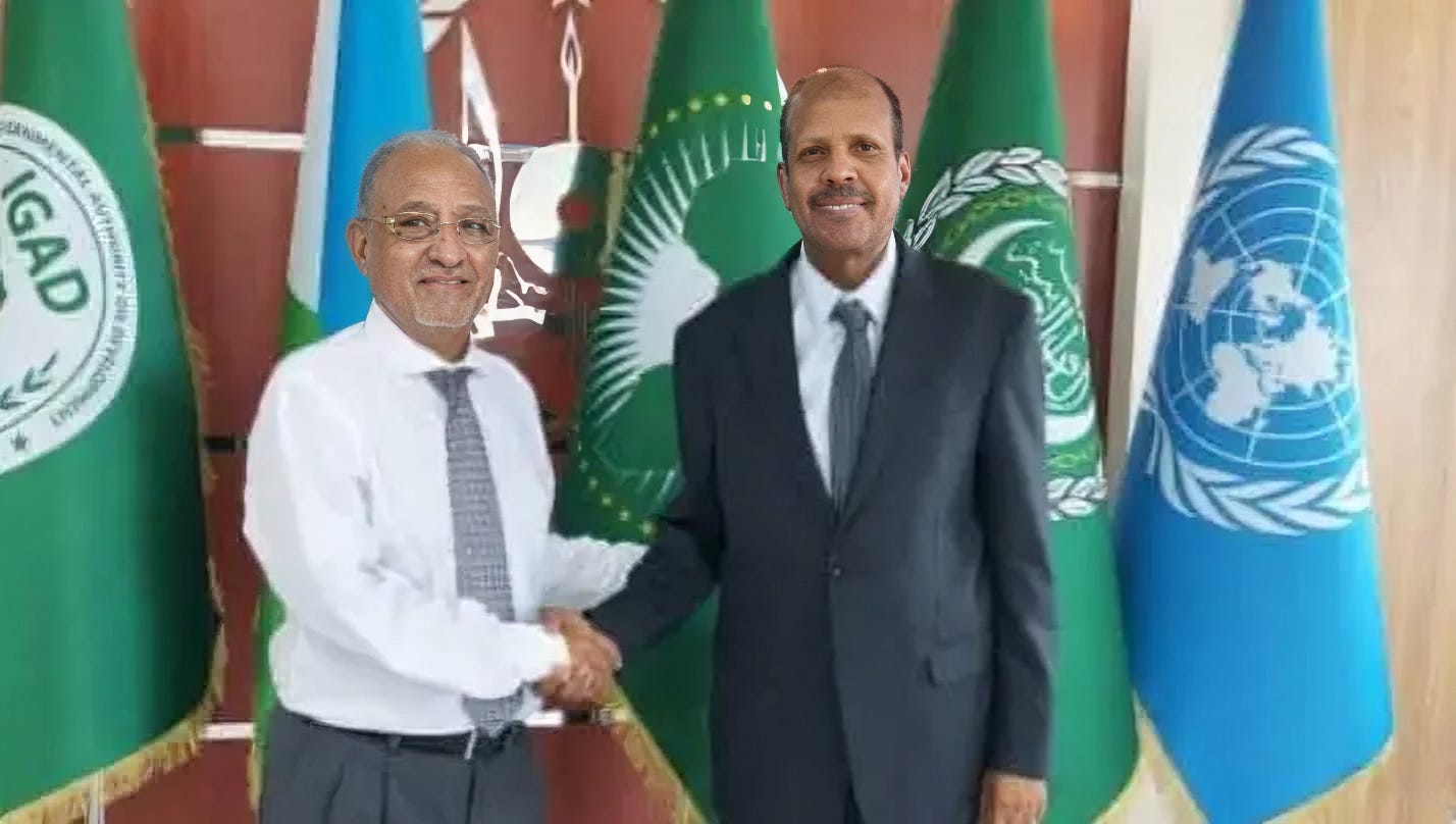 Djibouti Foreign Affairs Minister Met with Former Ambassadors ...