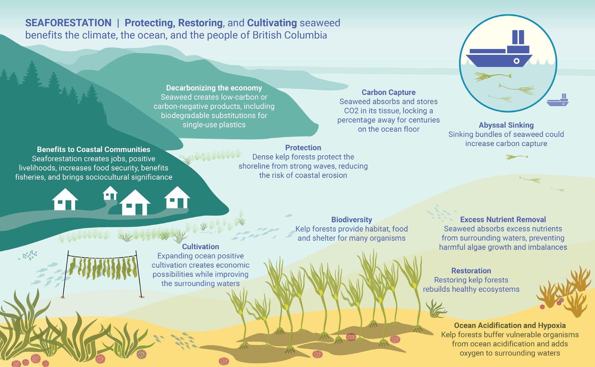 Regenerative Ocean Gardening, Kelp Farming and Marine Permaculture