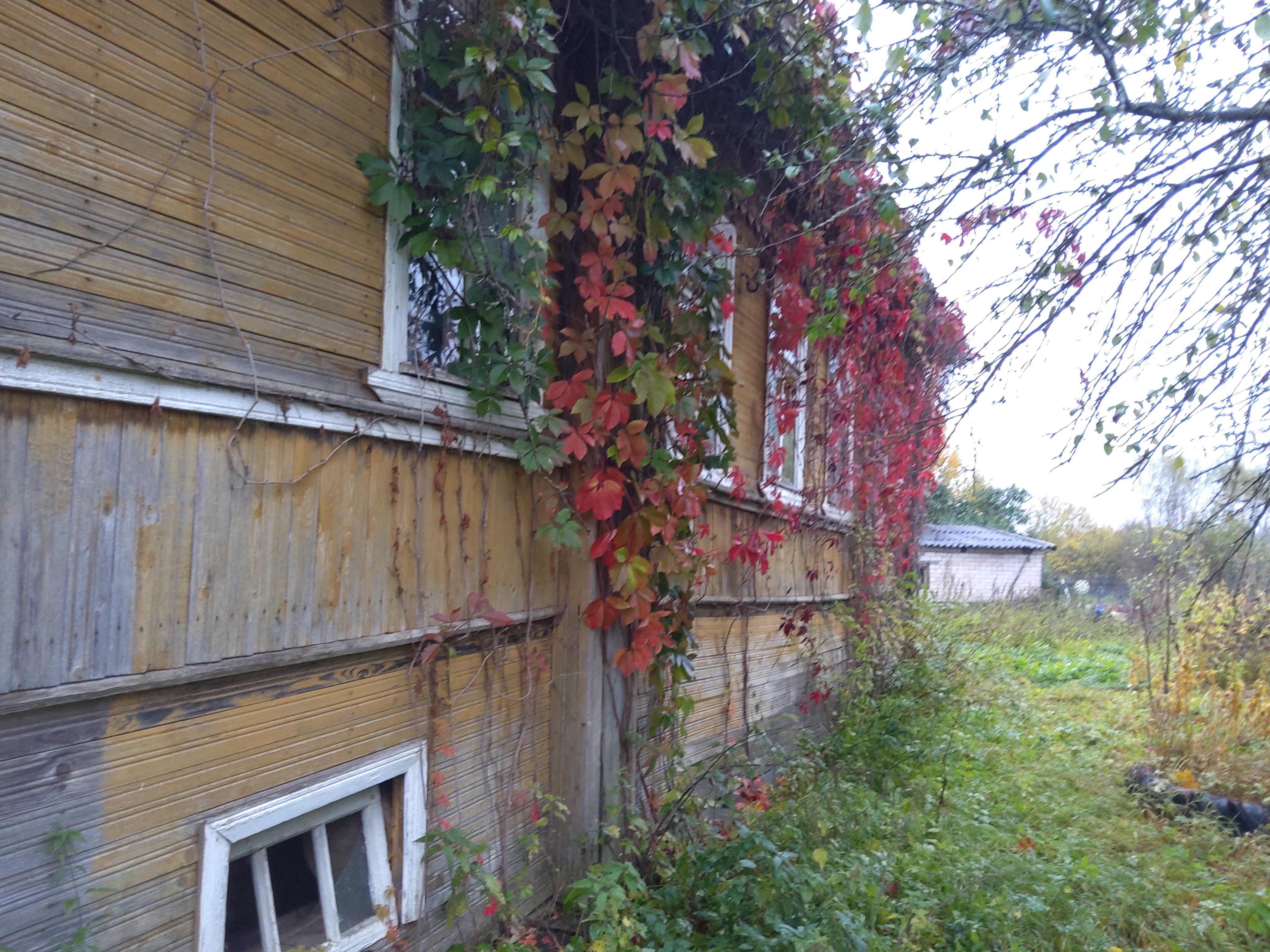 Take a tour of Edward's country manor - Edward Slavsquat