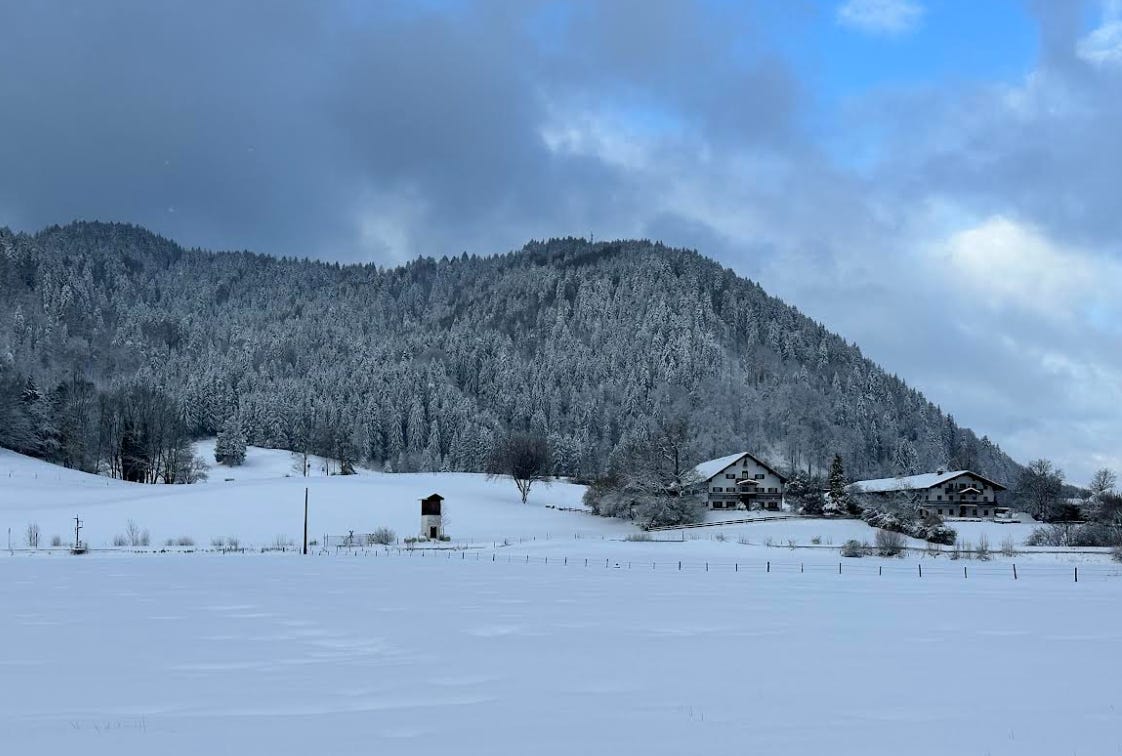 Infighting and internal divisions intensify among German climate ...