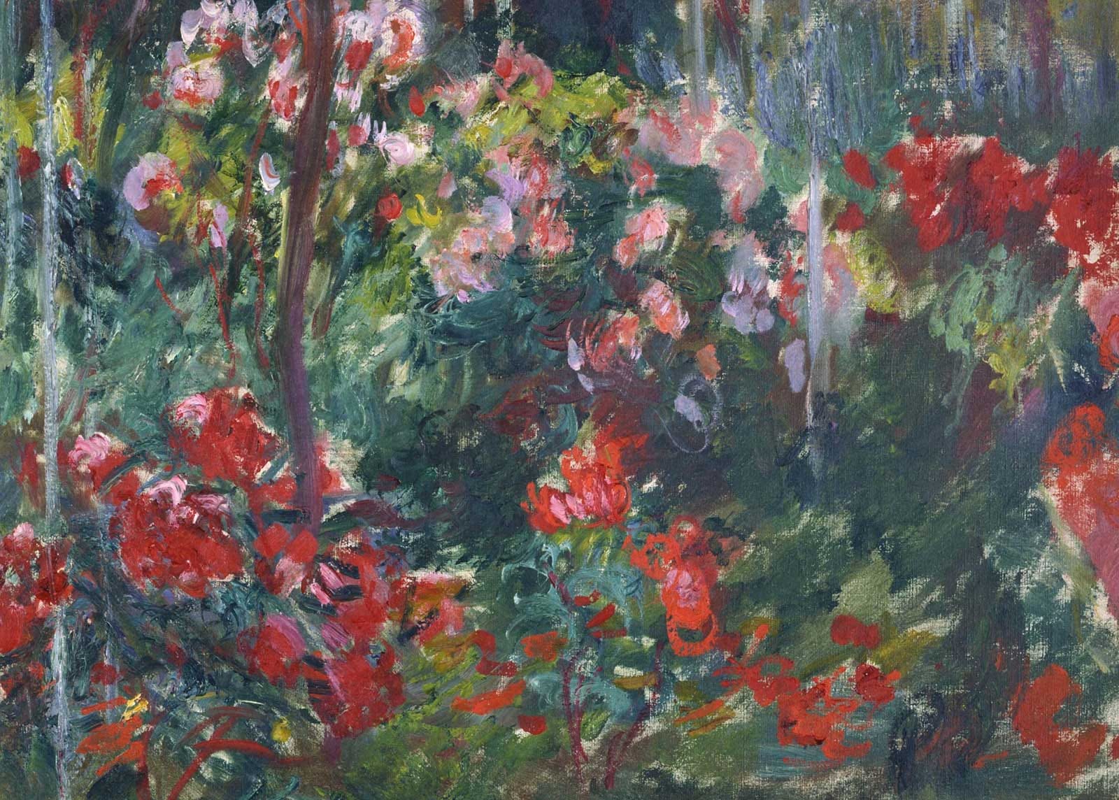 Biscuit Diaries 16.06.23 - by Darren Allen - Expressive Egg