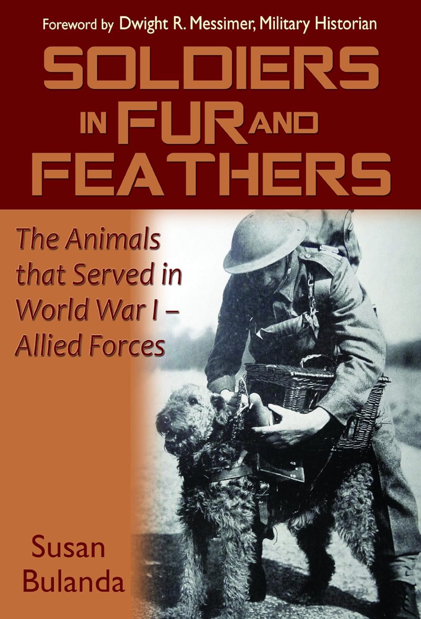 The Important Role of Cats in WWI & WWII