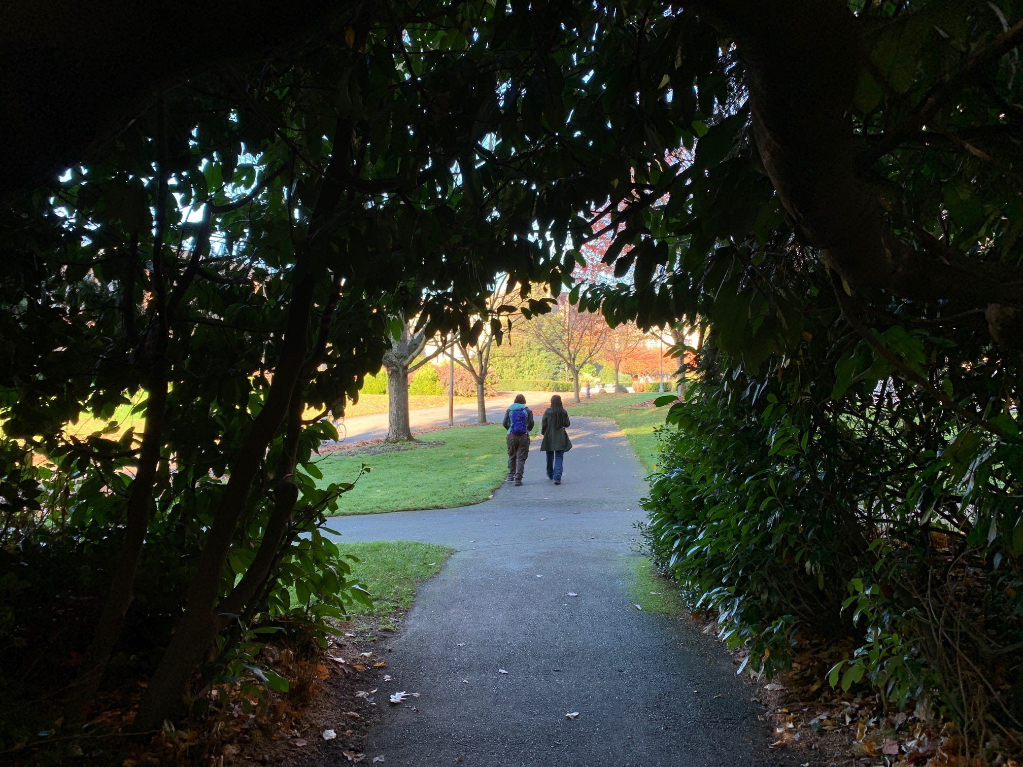 The Olmsted 50 trail - by Miles Howard - Mind the Moss