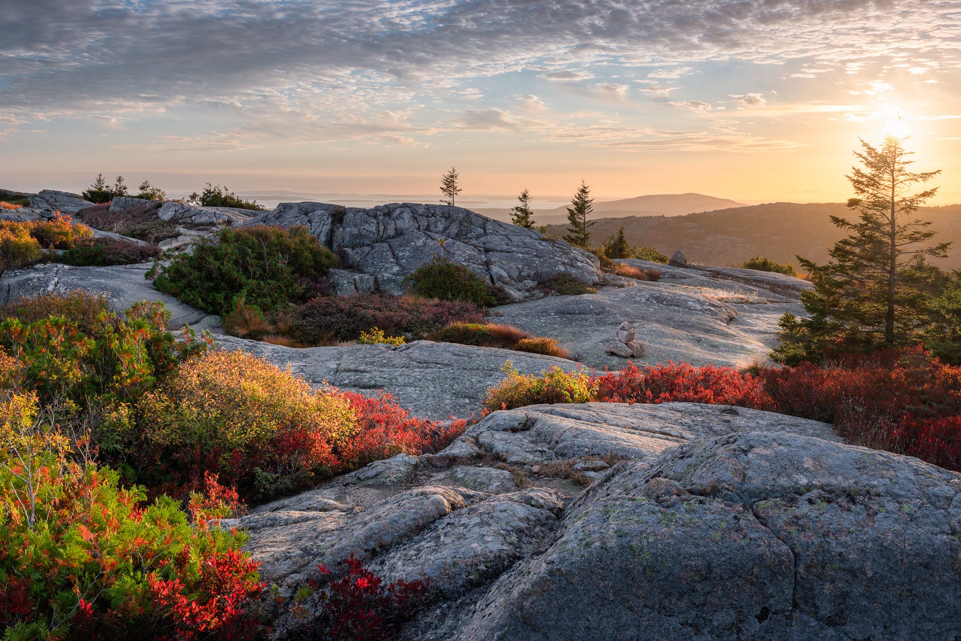 Workshop Announcement: 2025 Lineup - by John K. Putnam