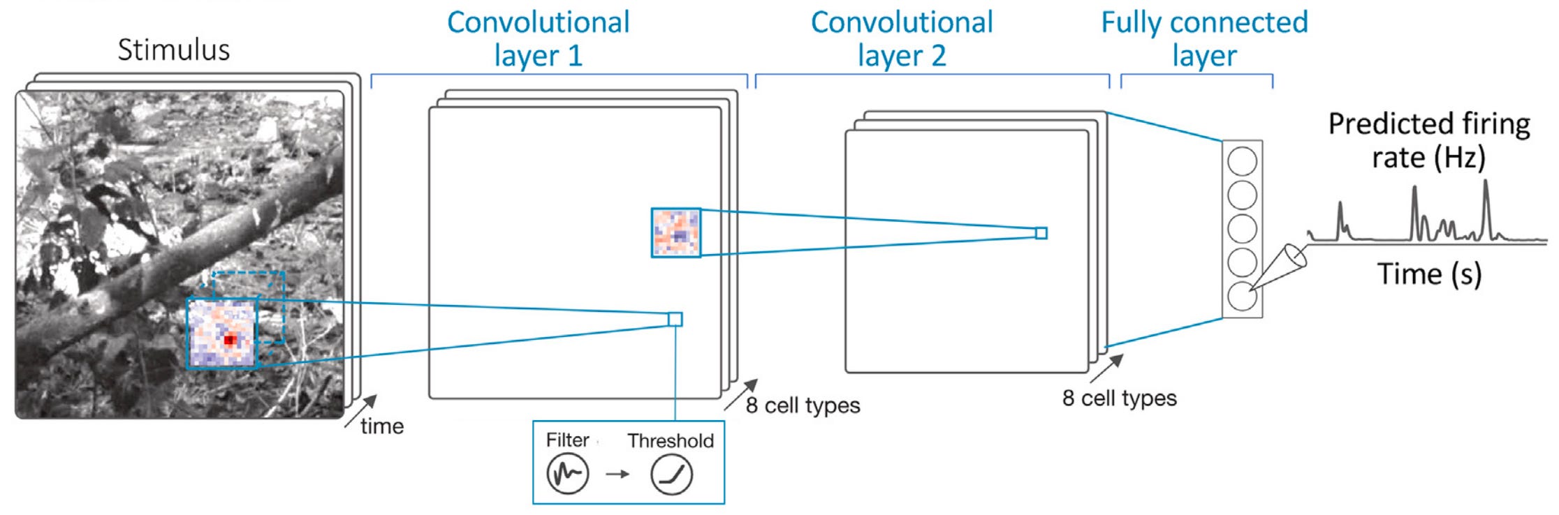 NeuroAI paper roundup #3: focus on vision