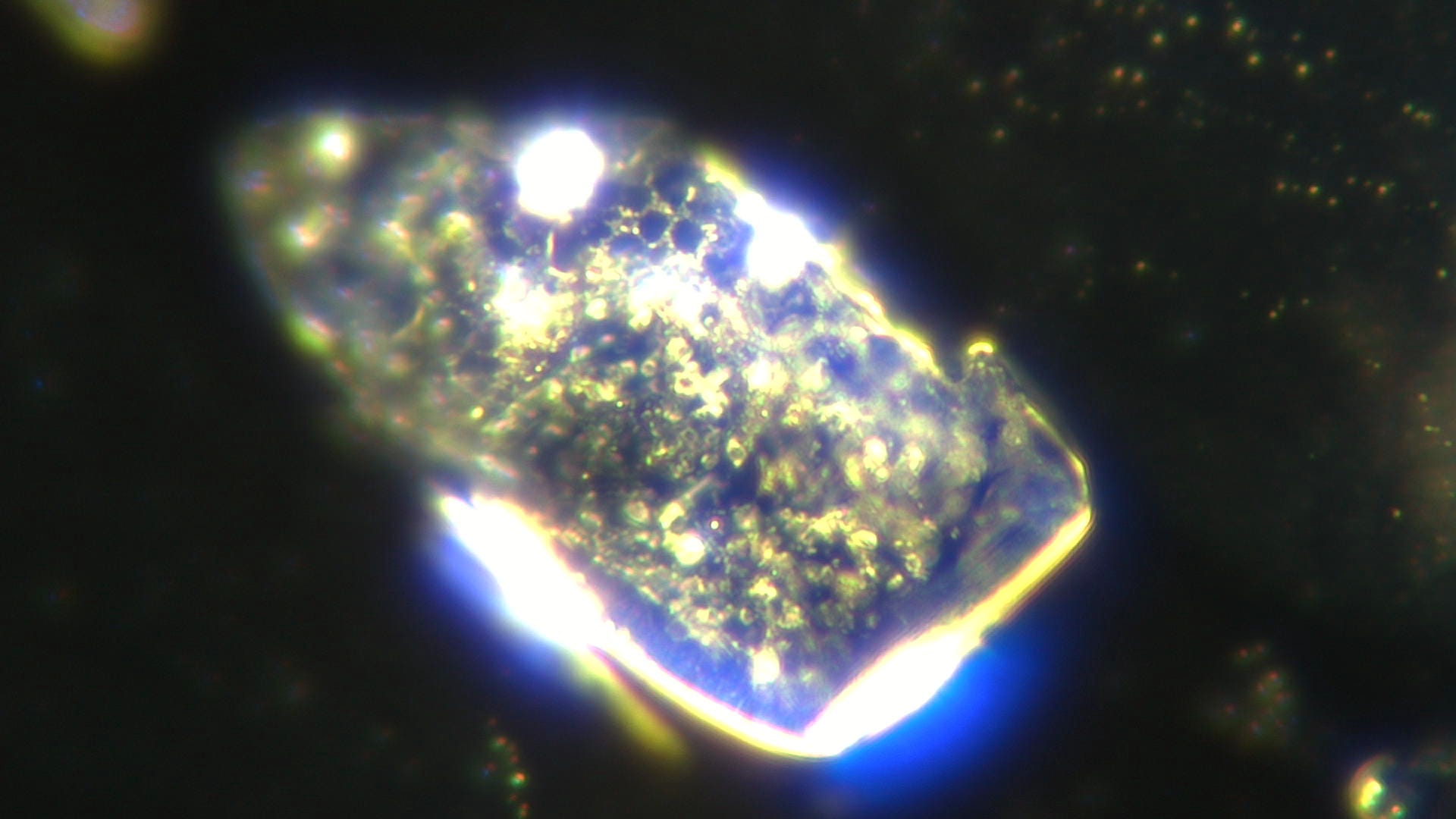 Calcium Disodium EDTA plus Ascorbic Acid Completely Inhibits Microchip And Nanoantenna ...