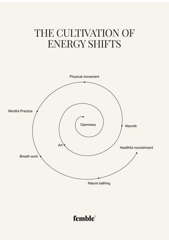 Embracing Your New Shell - ARDAS CHANDRA / THE LIGHT LETTER