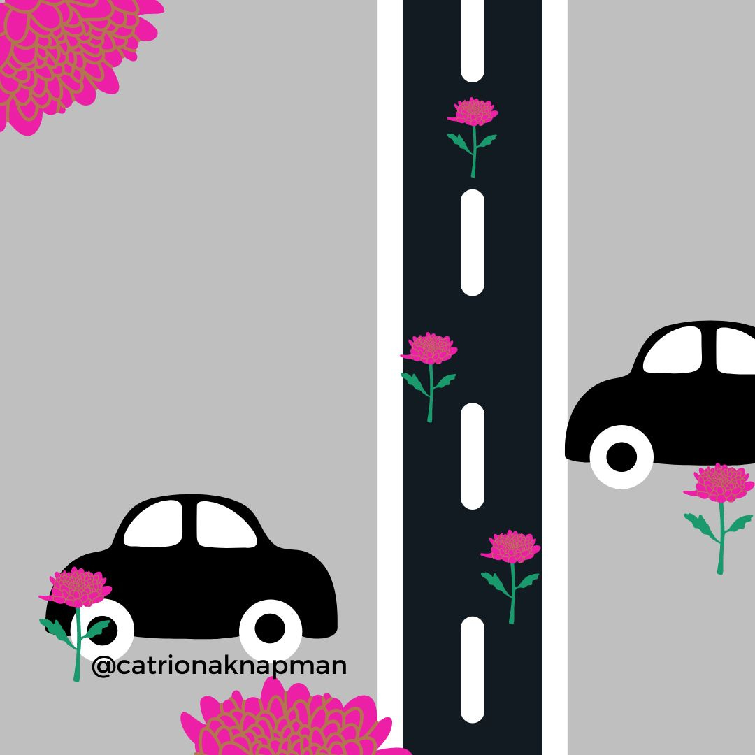 Growing Roses in a Revolution - by Catriona Knapman