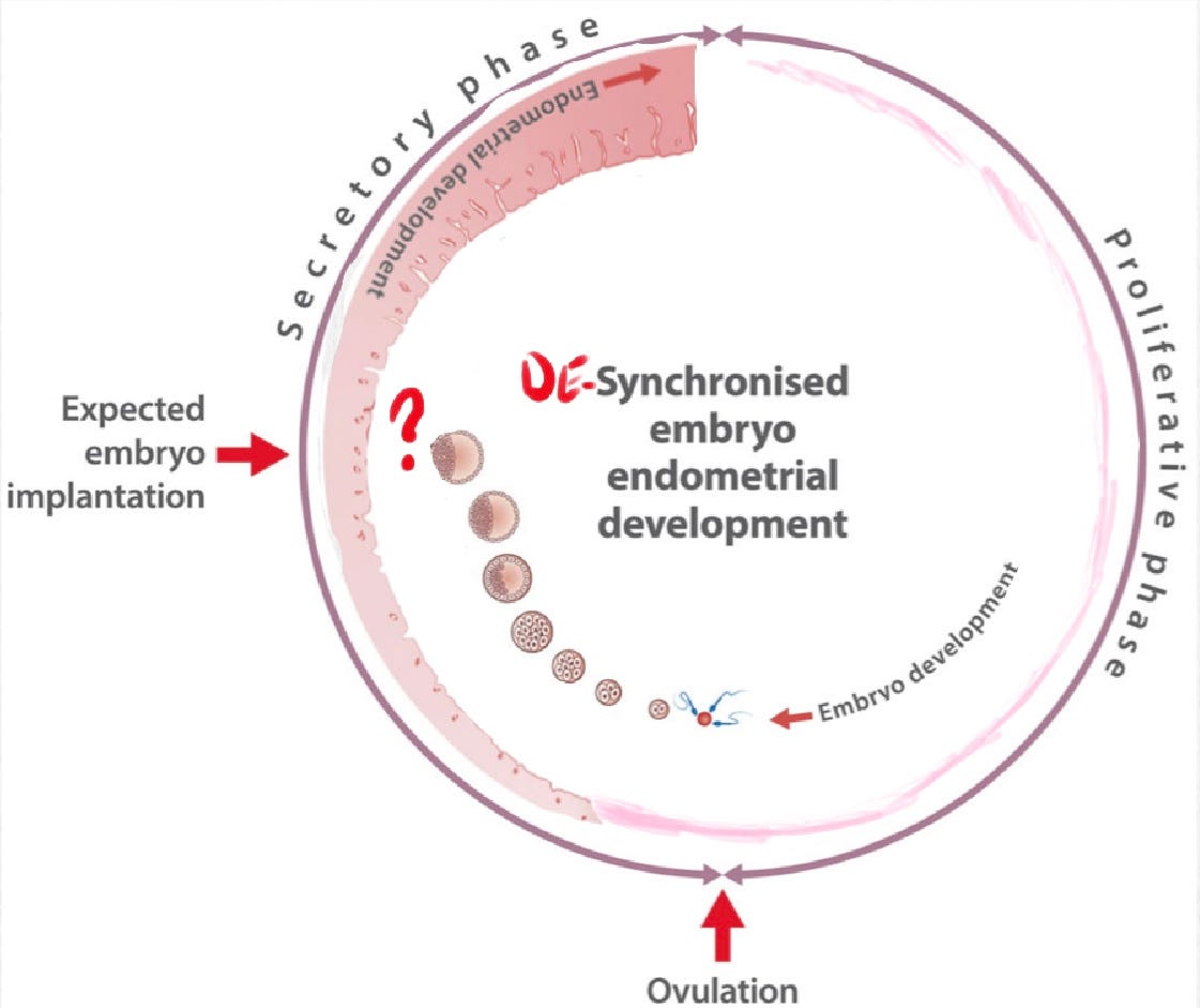 The Fine-Tuning Argument for Embryo-Endometrial Synchrony