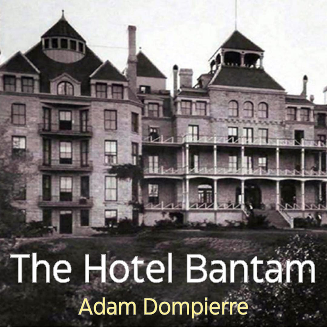 Introducing "The Hotel Bantam"