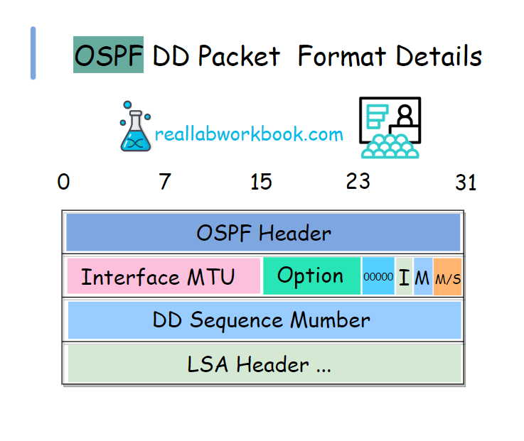 Ospf Database Description Packet By Rose White