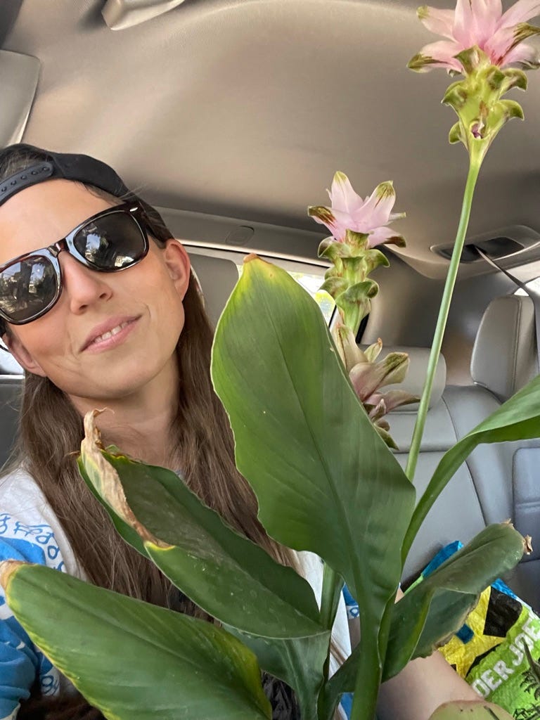 Rose Blakelock | Substack