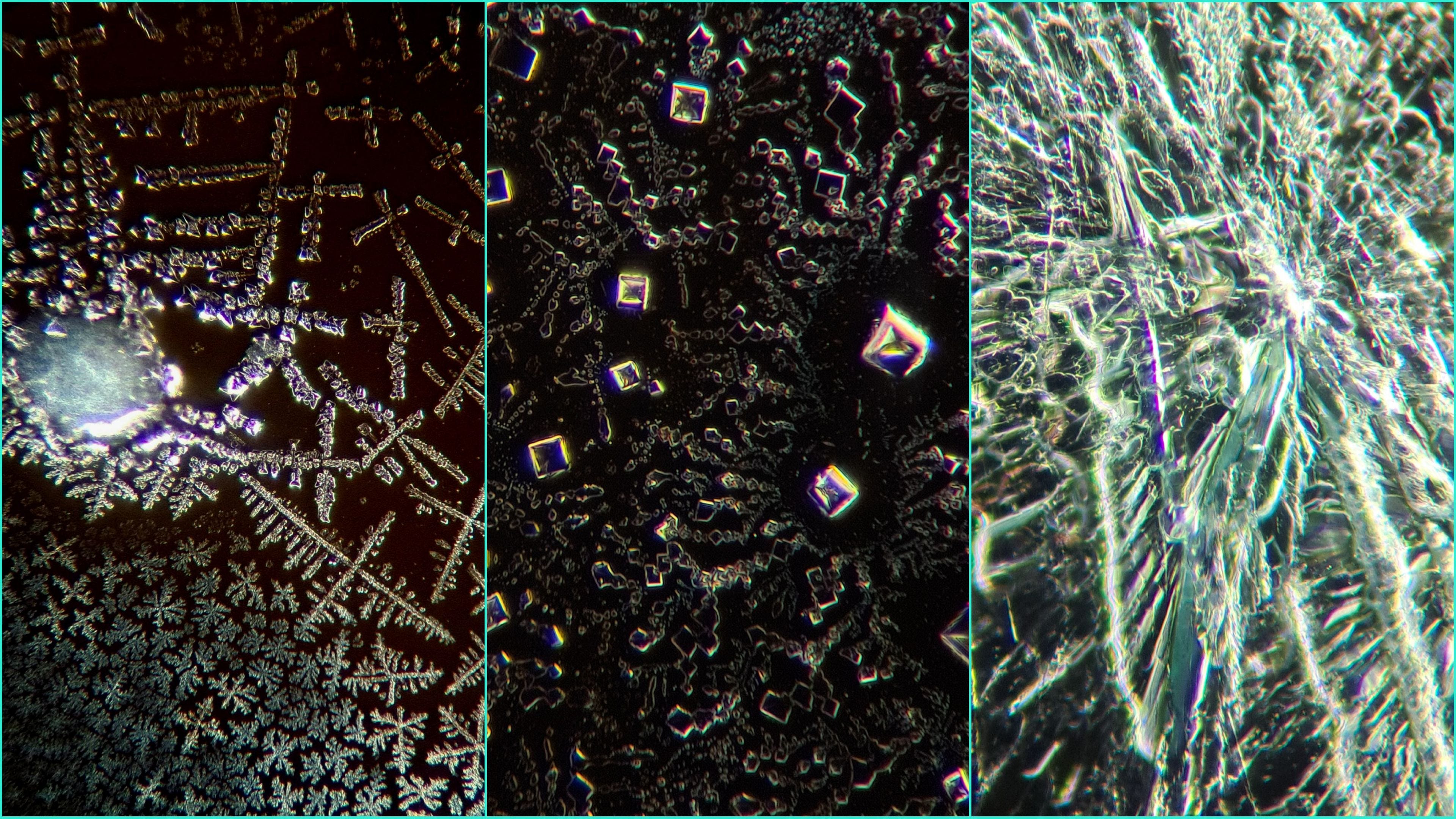 👻 G-G-Ghost Filaments! - Will: Micronaut