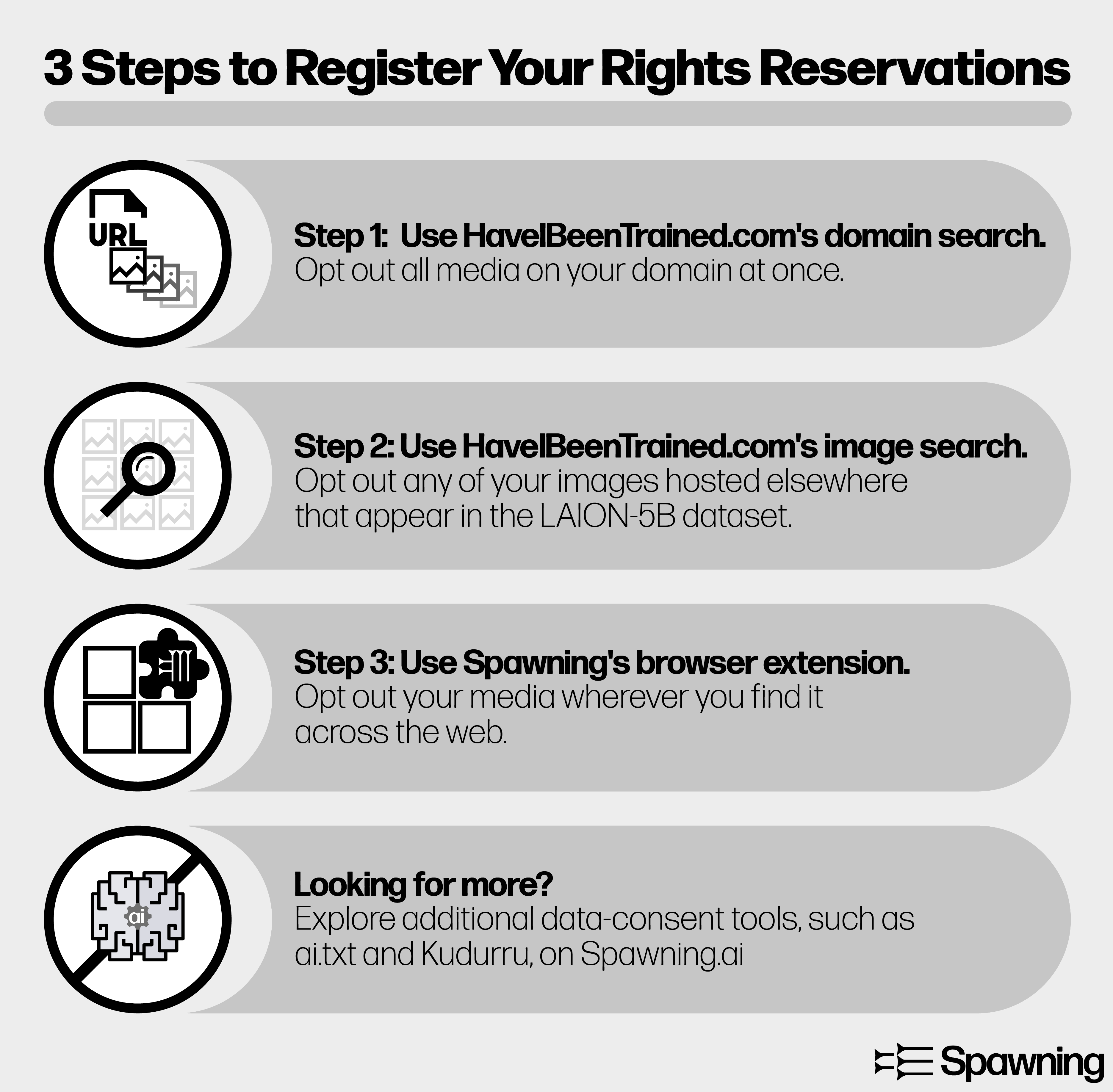 The Spawning Guide to Rights Reservations - by Laura